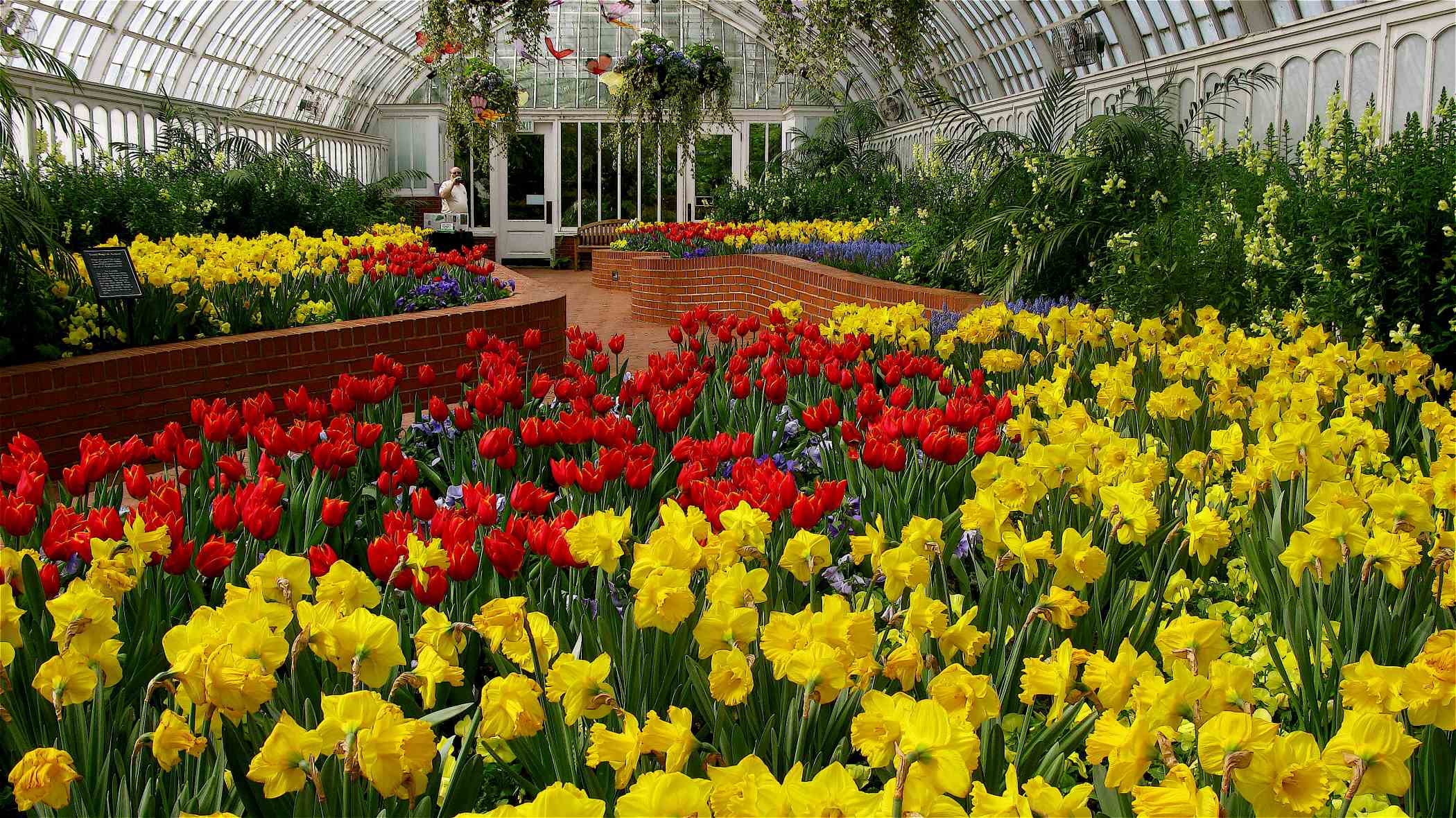 Spring Flower Show 2009: Gardens Aflutter | Phipps Conservatory and ...