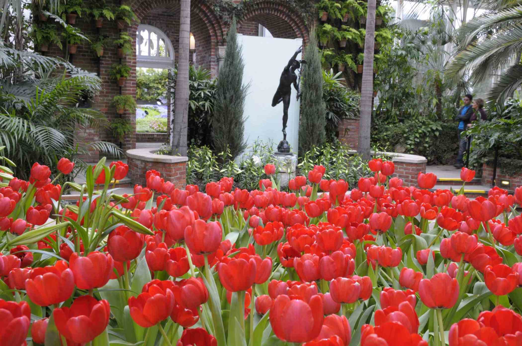 Spring Flower Show 2011 | Phipps Conservatory and Botanical Gardens ...