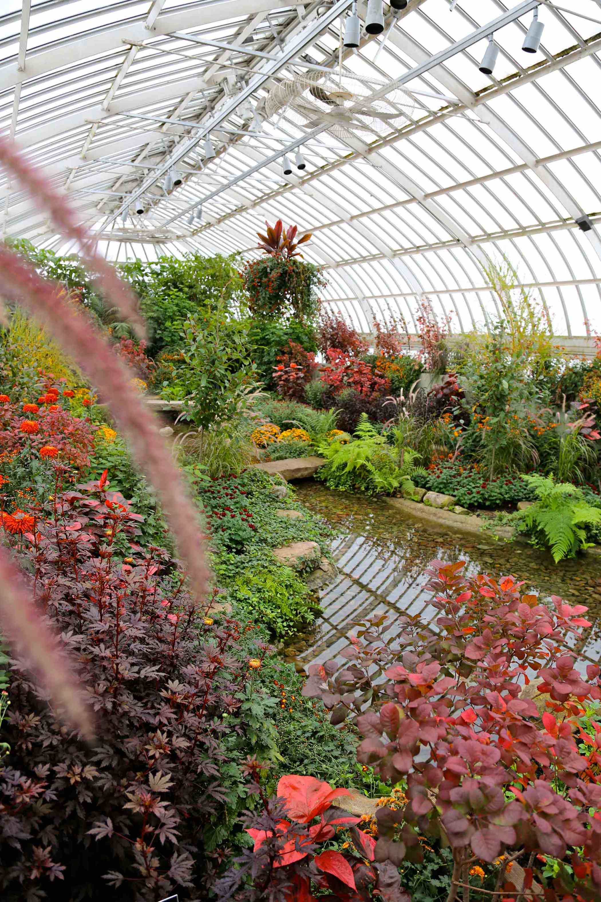 Fall Flower Show 2013 | Phipps Conservatory and Botanical Gardens ...
