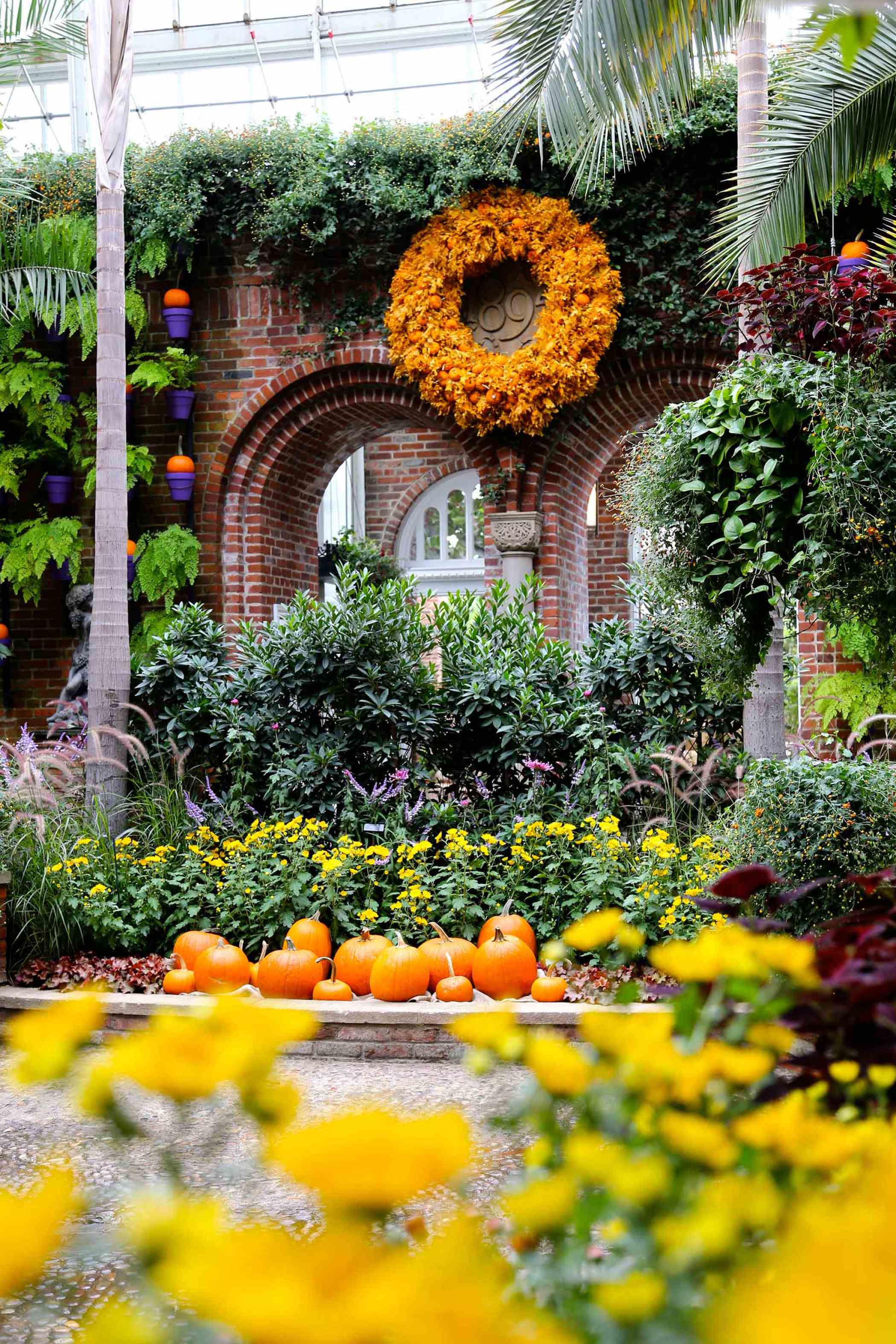 Fall Flower Show 2013 | Phipps Conservatory and Botanical Gardens ...