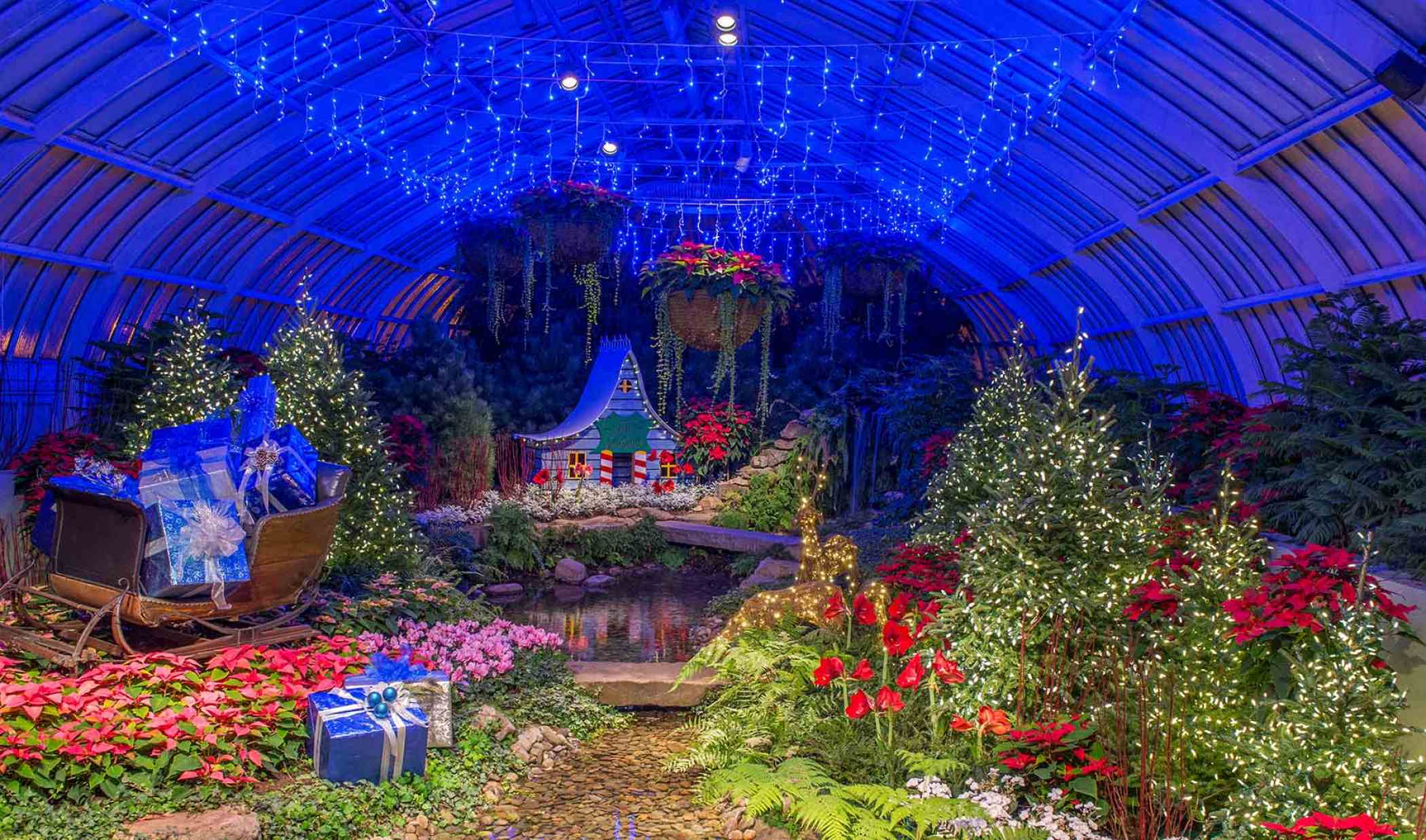 Winter Flower Show and Light Garden 2013 | Phipps Conservatory and ...