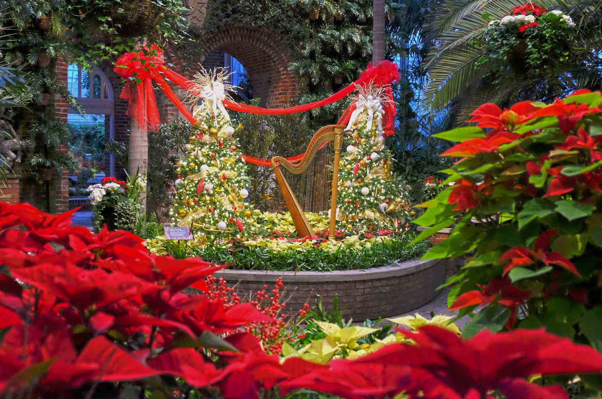 Winter Flower Show and Light Garden 2015: Deck the Halls | Phipps ...