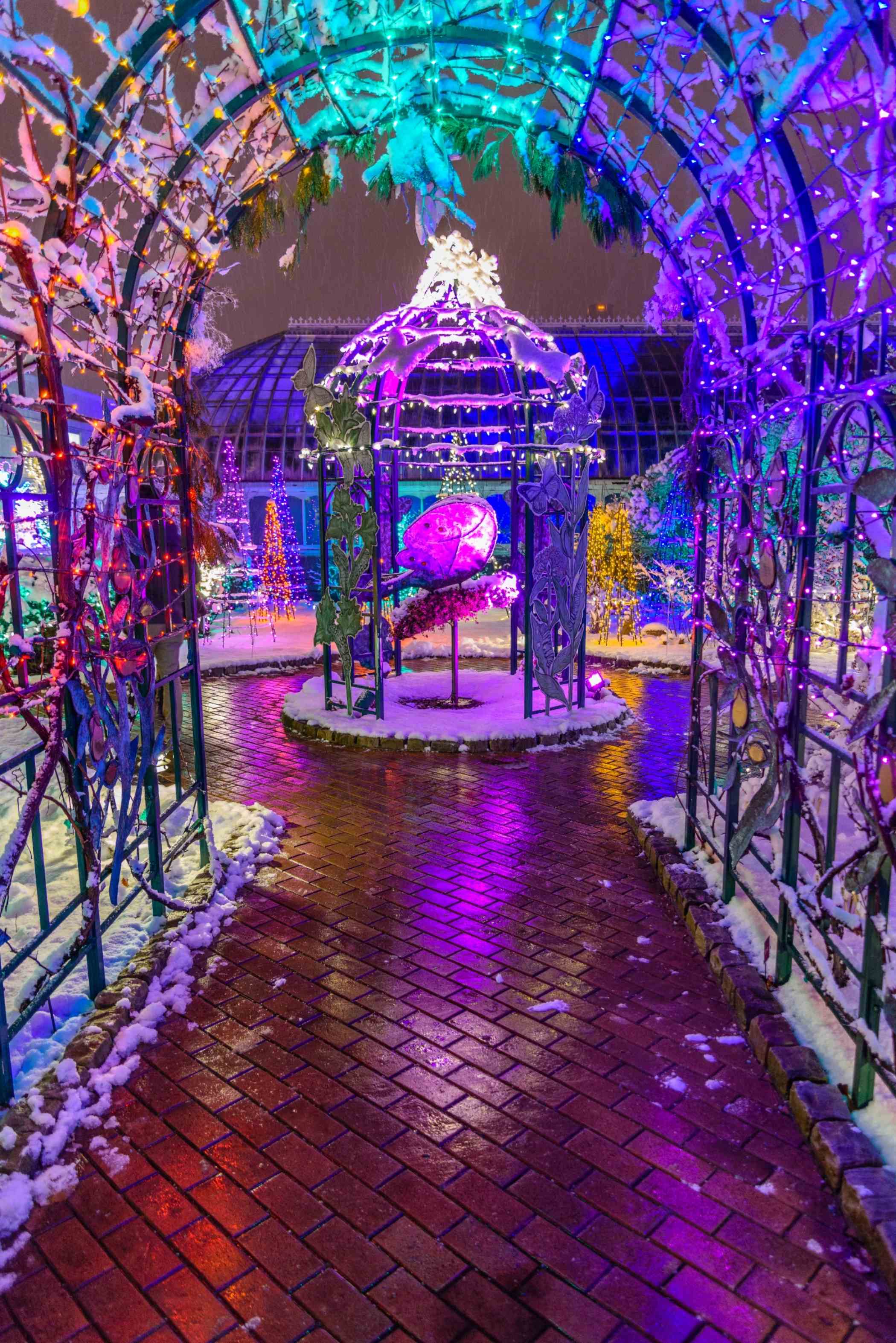 Winter Flower Show and Light Garden 2016: Days of Snow and Nights Aglow ...