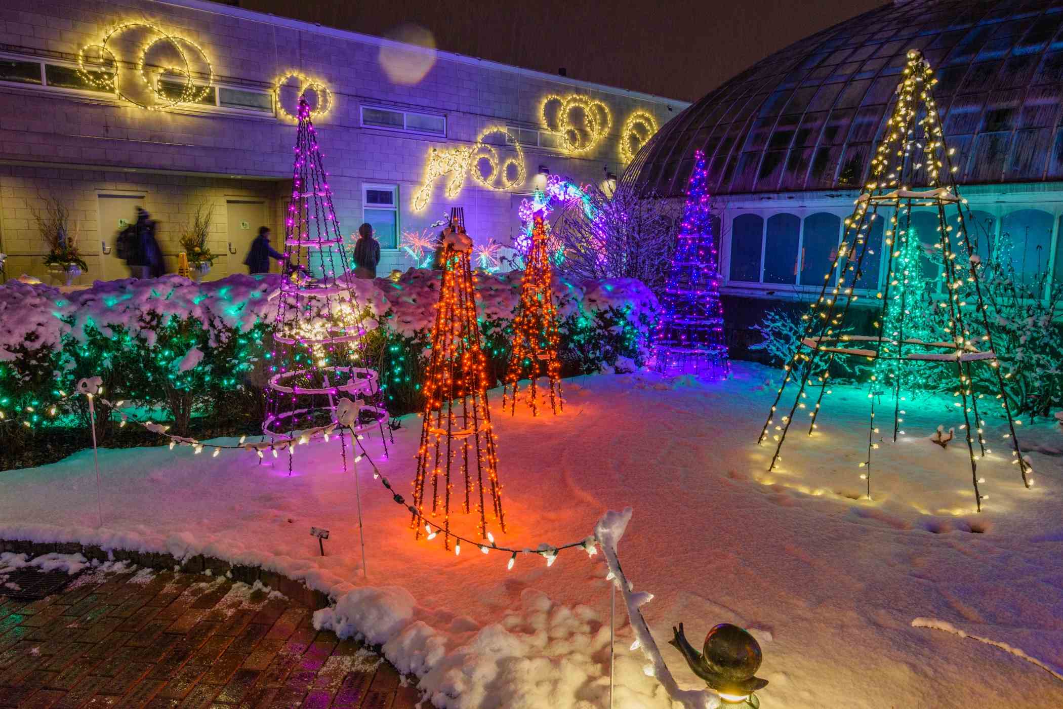 Winter Flower Show and Light Garden 2016: Days of Snow and Nights Aglow ...