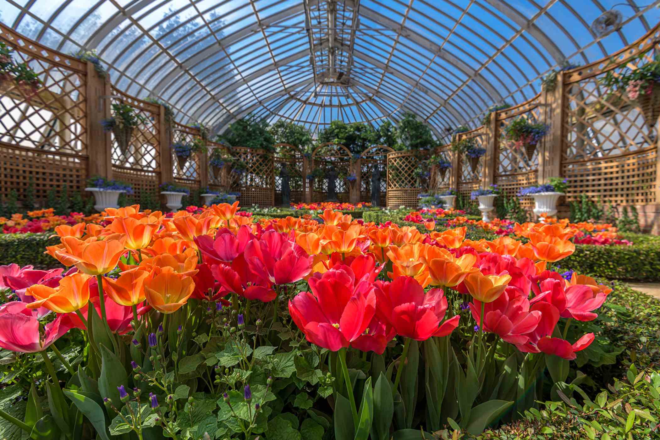 Spring Flower Show 2021: Canopy of Color | Phipps Conservatory and ...