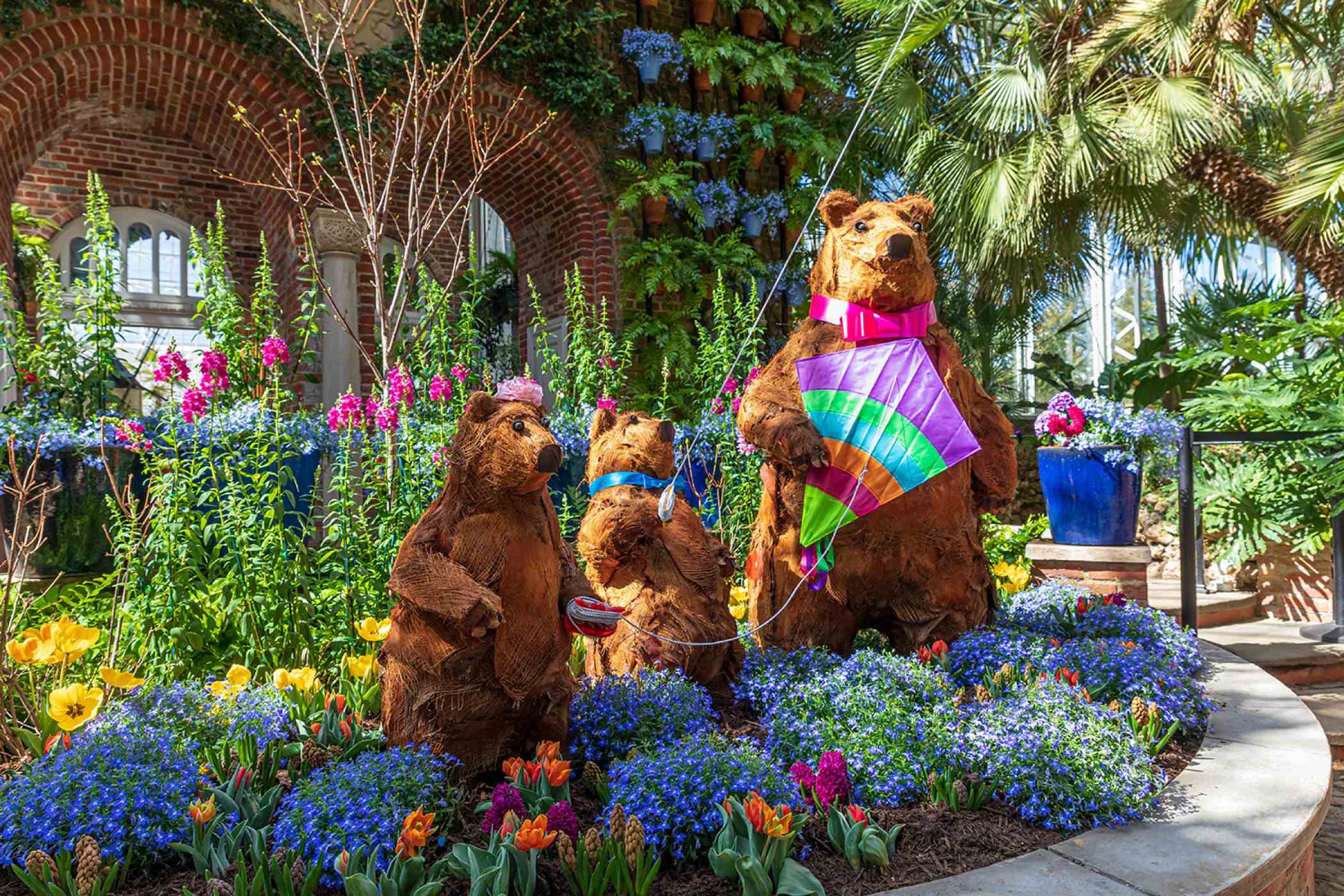 Spring Flower Show 2021: Canopy of Color | Phipps Conservatory and ...