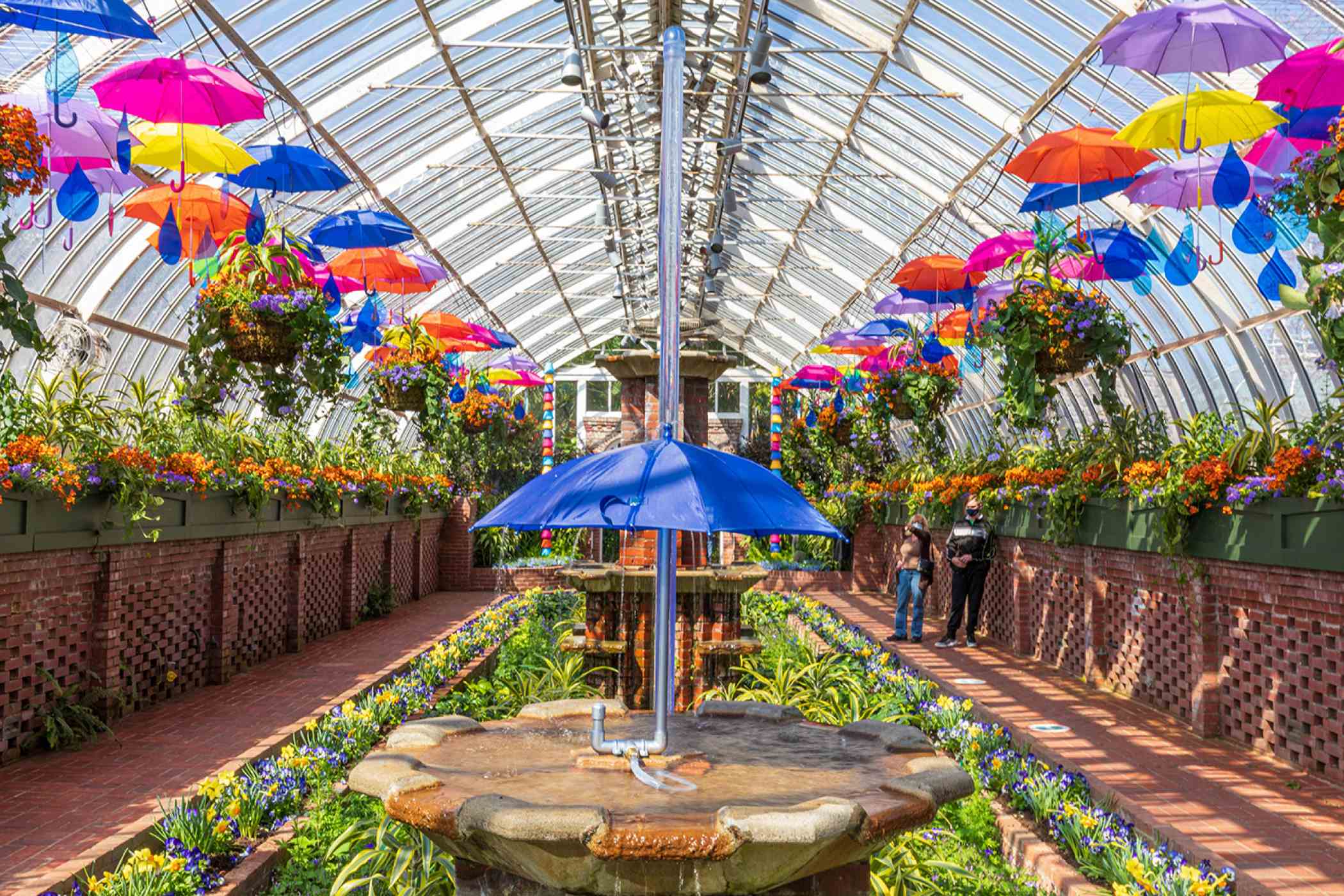 Spring Flower Show 2021: Canopy of Color | Phipps Conservatory and ...