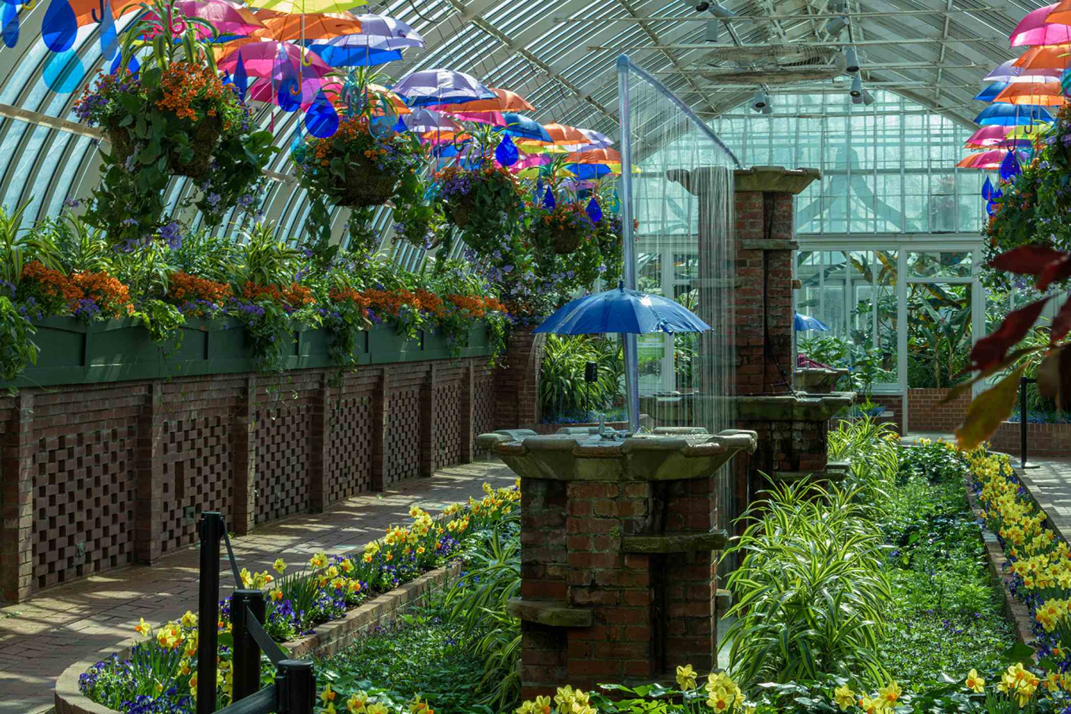 Spring Flower Show 2021: Canopy of Color | Phipps Conservatory and ...