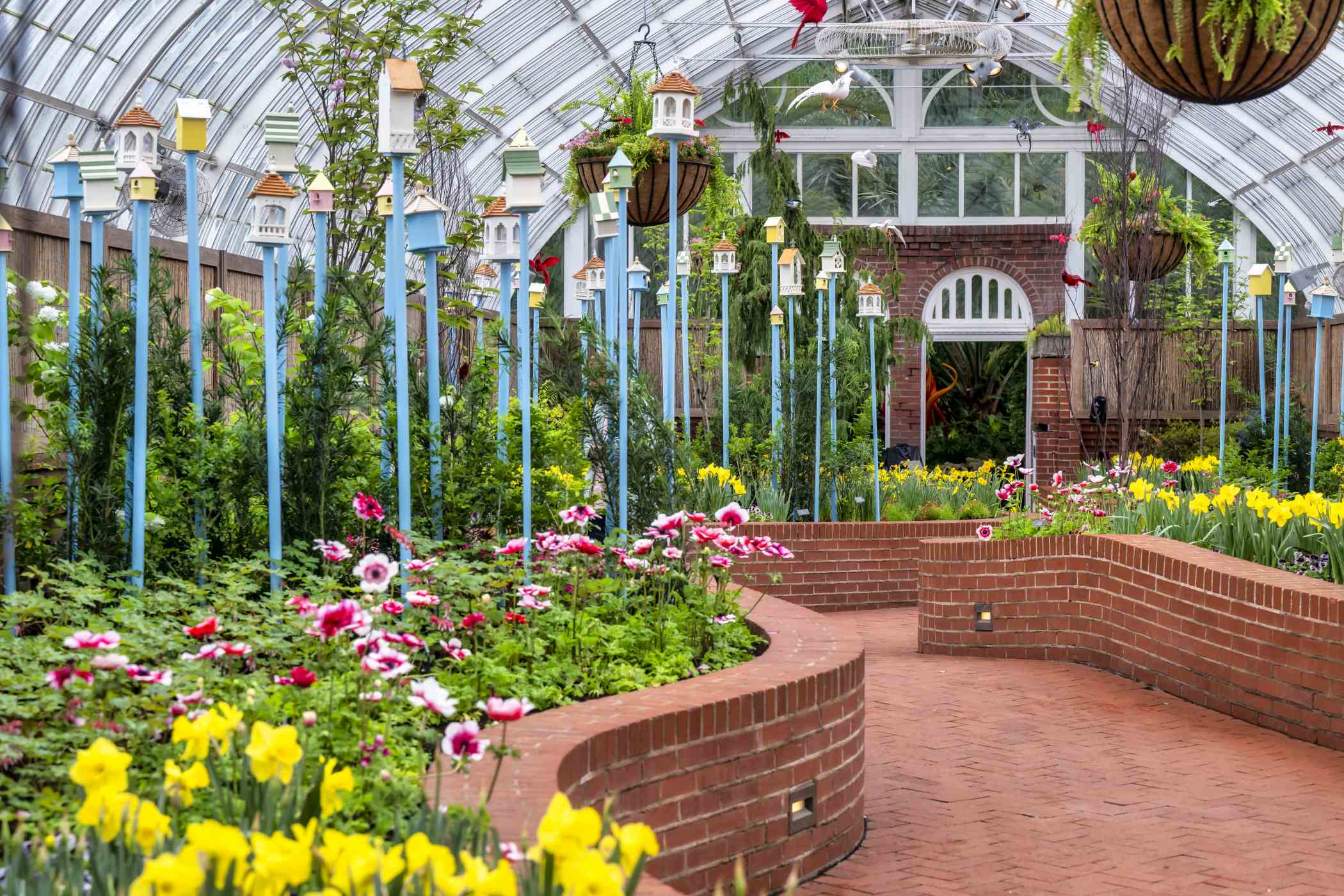 Phipps Spring Flower Show 2023