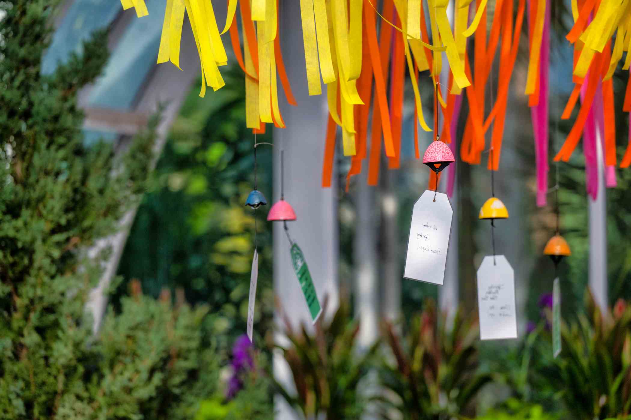 Spring Flower Show 2023: Five Senses of Splendor | Phipps Conservatory ...