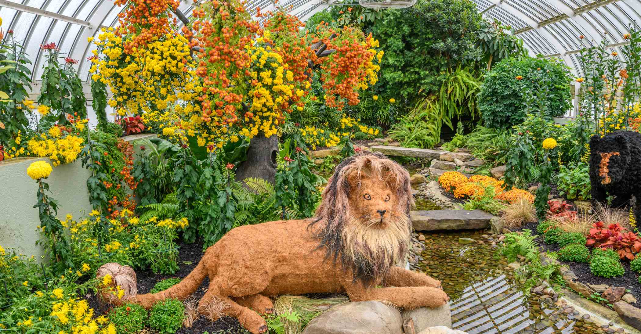 Fall Flower Show 2022: Blooms Under the Big Top | Phipps Conservatory ...