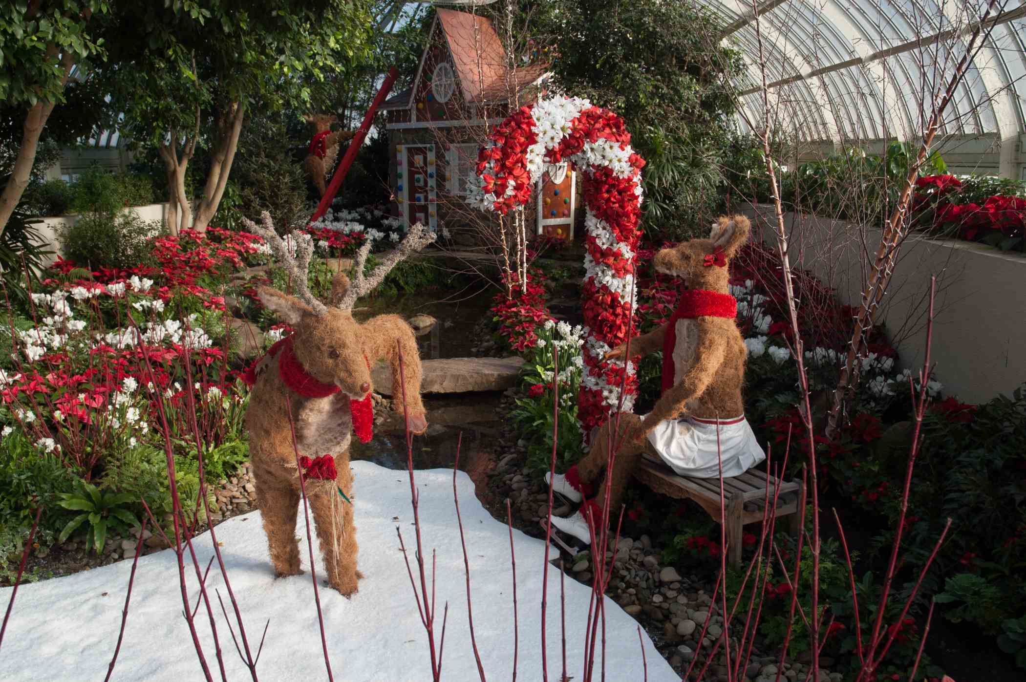 Winter Flower Show 2005: One Enchanted Evening | Phipps Conservatory ...