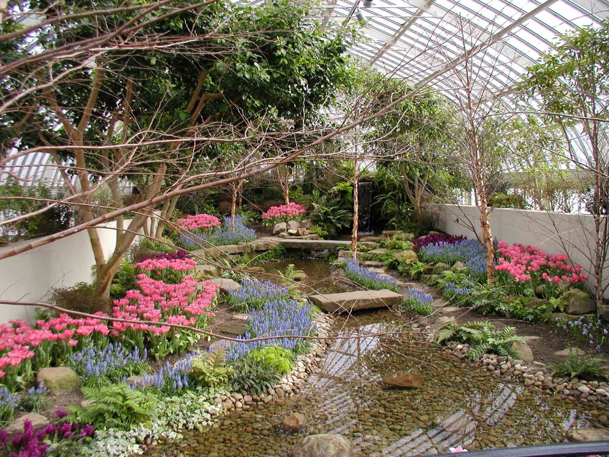Spring Flower Show 2004: Splashes of Spring | Phipps Conservatory and ...
