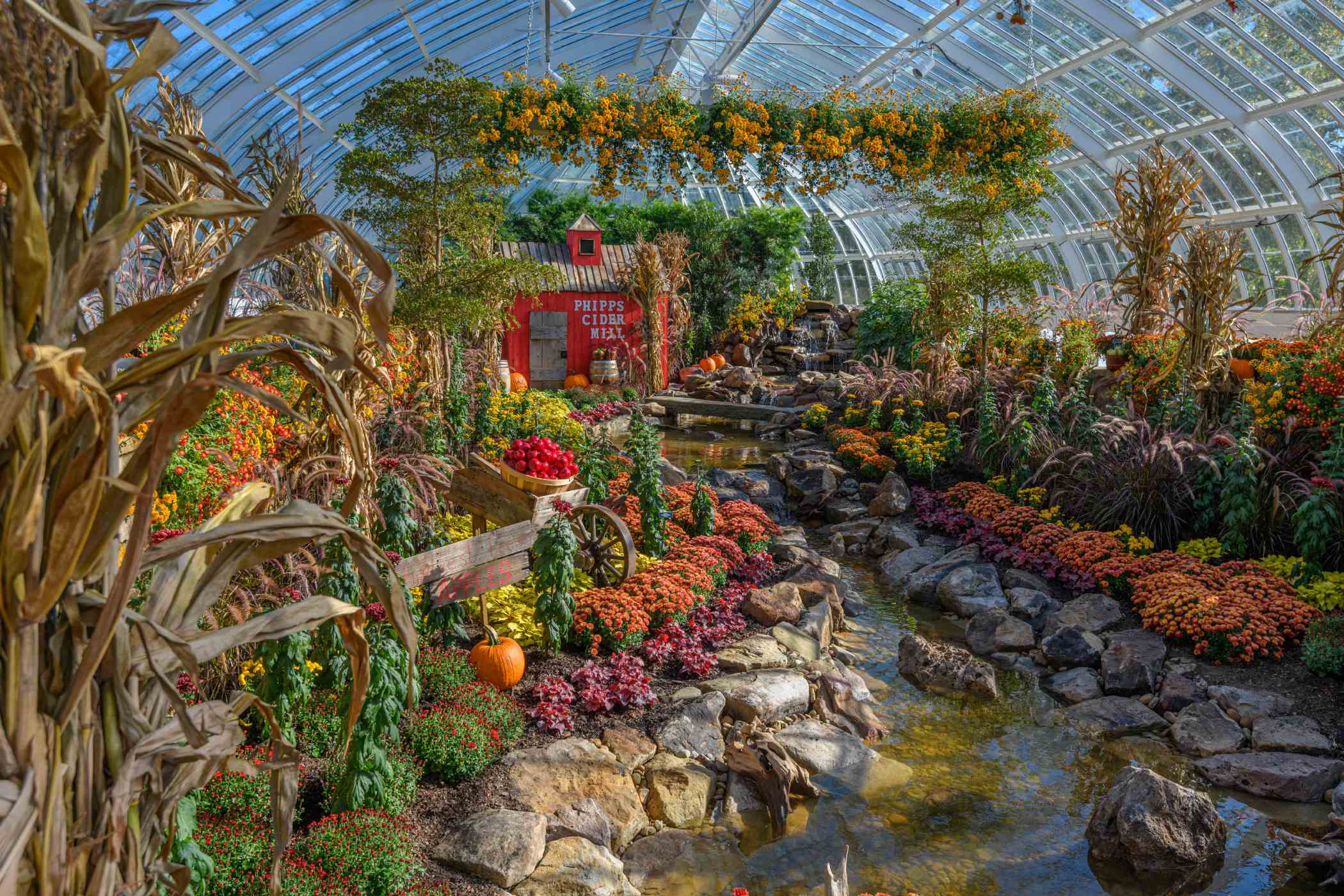 Fall Flower Show 2023: Hometown Harvest | Phipps Conservatory and ...