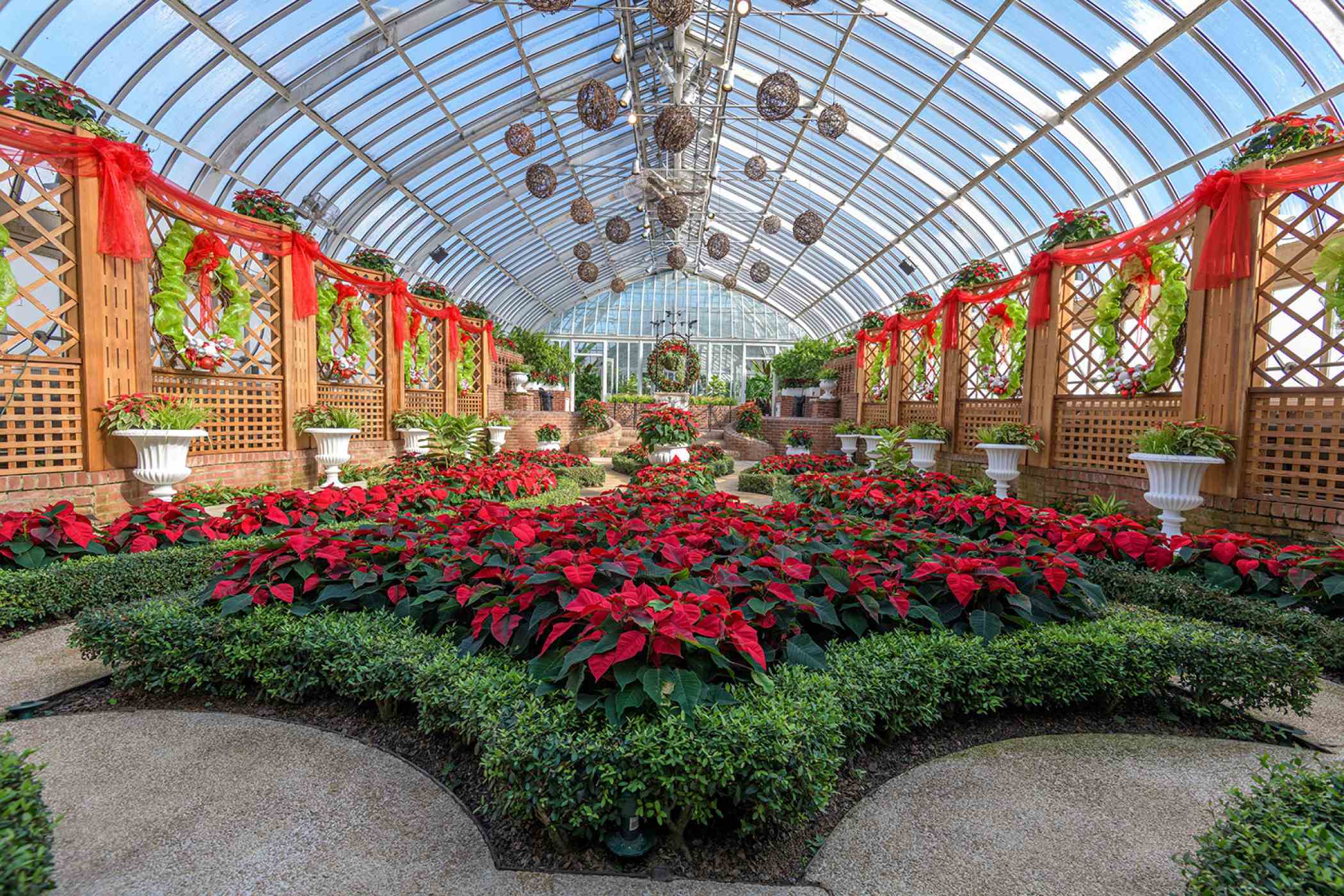 Winter Flower Show and Light Garden 2019: Holiday Magic! Festival of ...