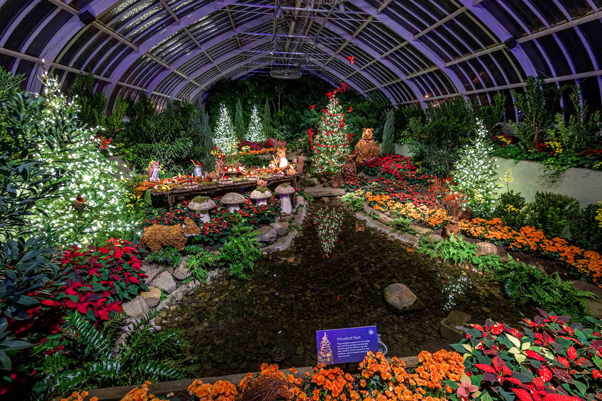 Winter Flower Show and Light Garden 2019: Holiday Magic! Festival of ...