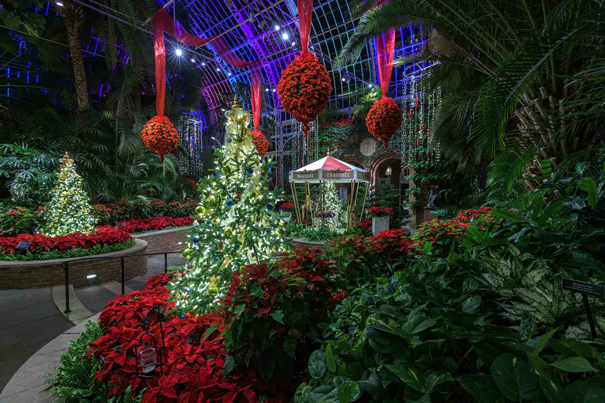 Winter Flower Show and Light Garden 2019: Holiday Magic! Festival of ...