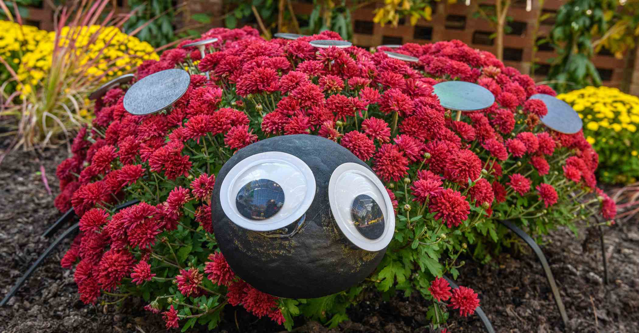 Fall Flower Show 2022: Blooms Under the Big Top | Phipps Conservatory ...