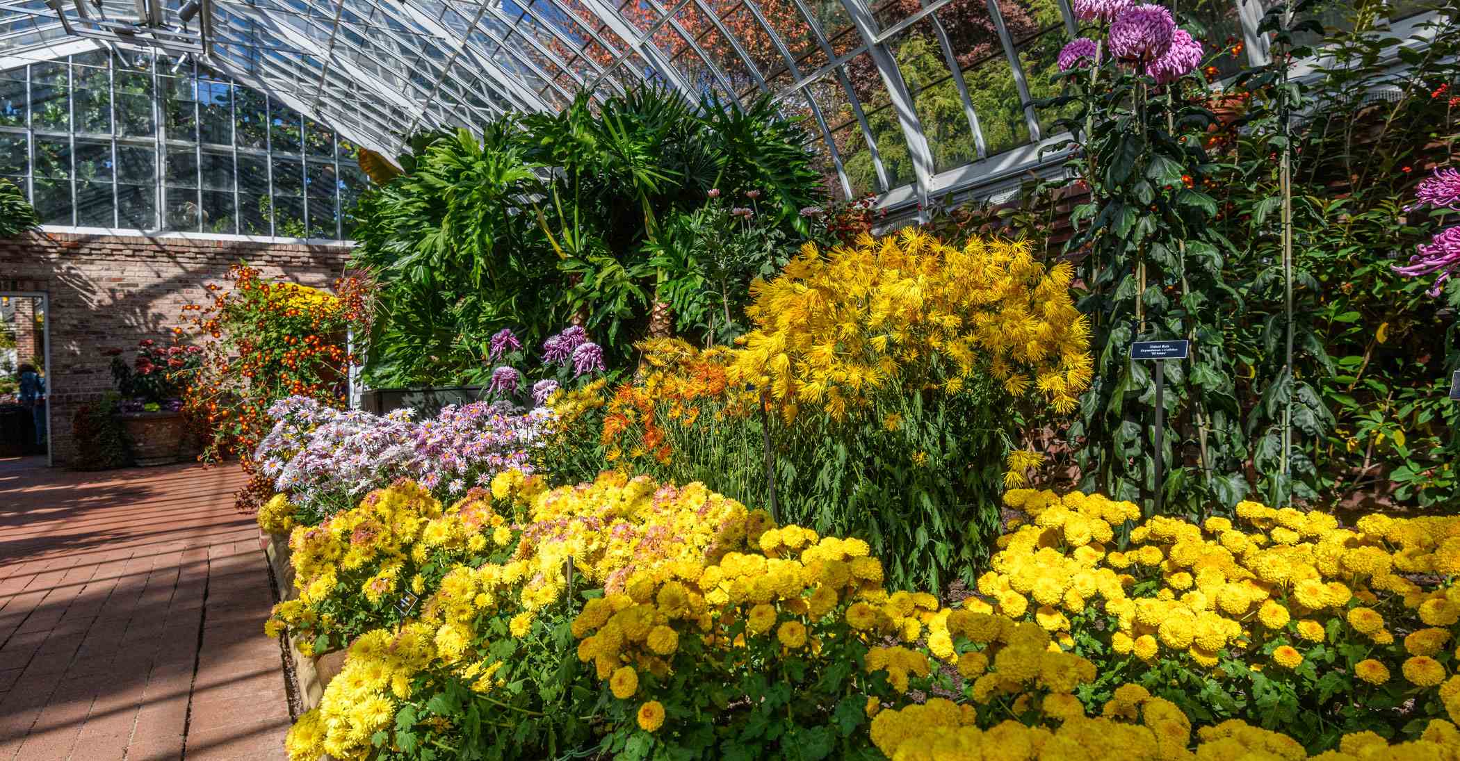 Fall Flower Show 2022: Blooms Under the Big Top | Phipps Conservatory ...