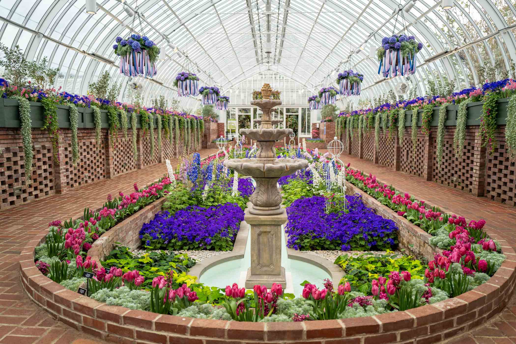 Spring Flower Show 2025: A Bloom for Every Room | Phipps Conservatory ...