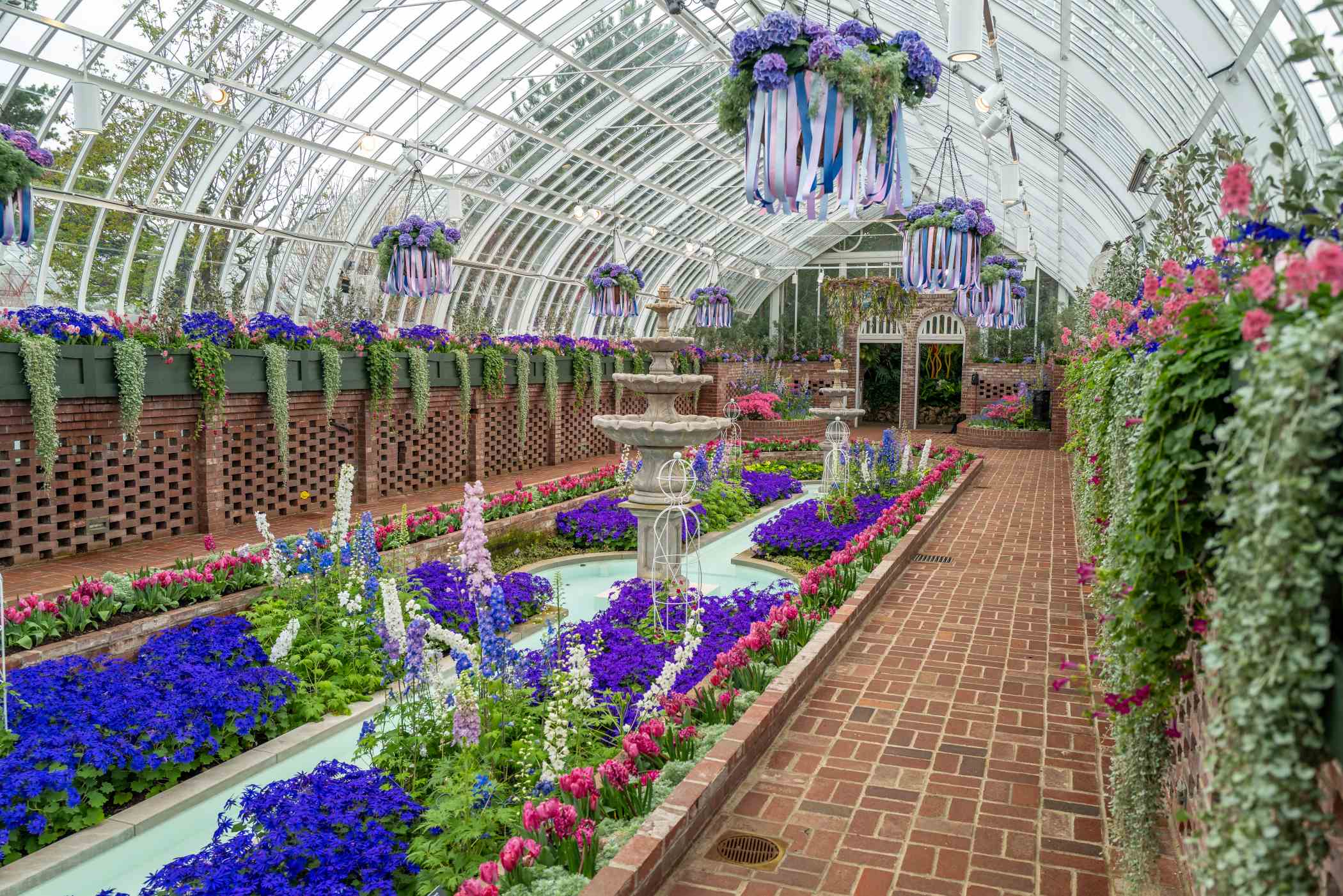 Spring Flower Show 2025: A Bloom for Every Room | Phipps Conservatory ...