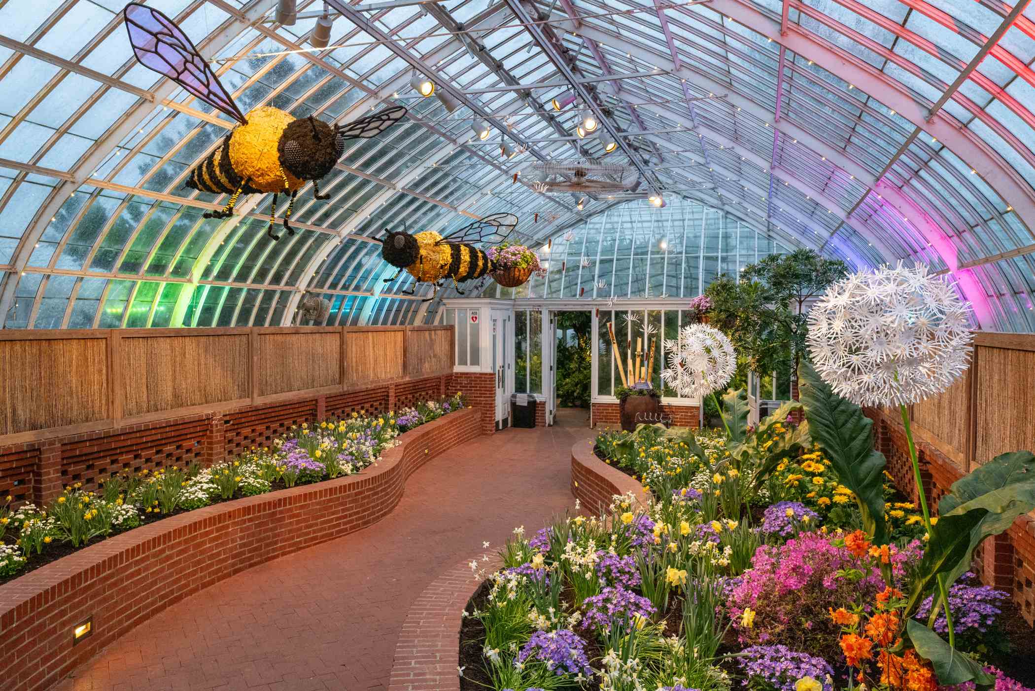 Spring Flower Show 2025: A Bloom for Every Room | Phipps Conservatory ...