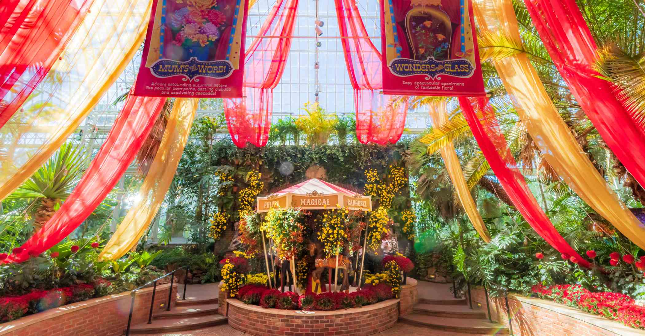 Fall Flower Show 2022: Blooms Under the Big Top | Phipps Conservatory ...