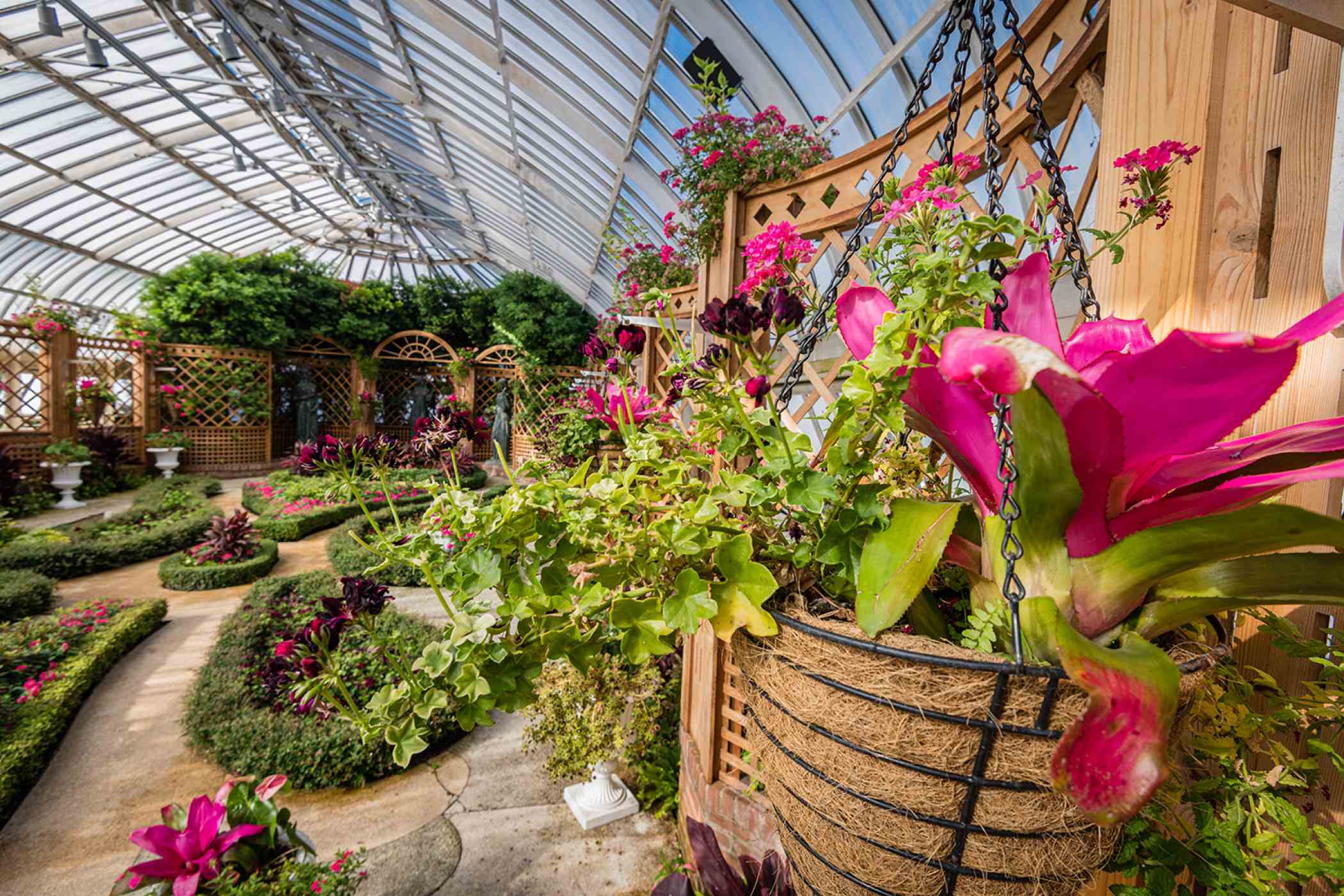 Summer Flower Show 2020: Back in Bloom | Phipps Conservatory and ...