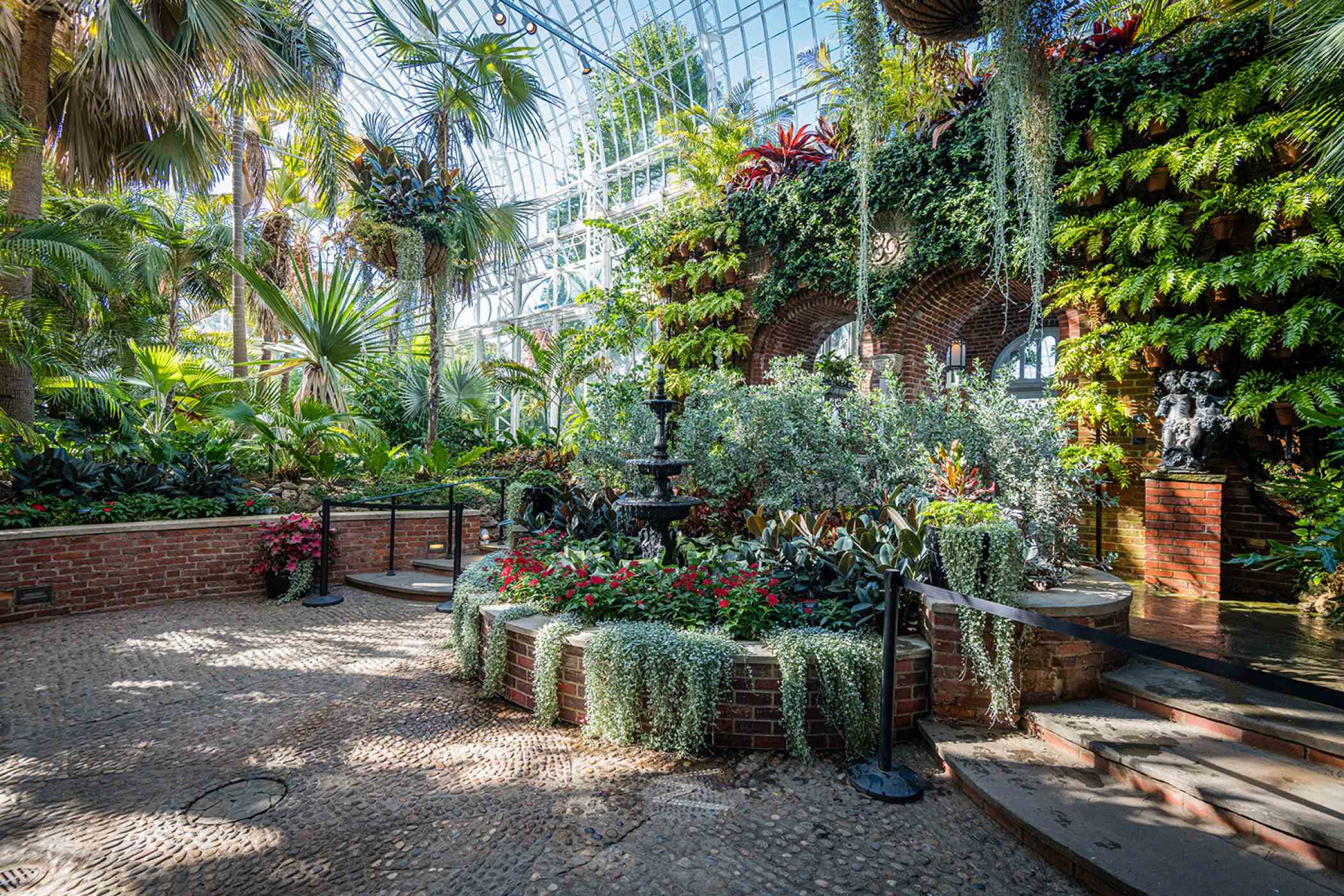 Summer Flower Show 2020: Back in Bloom | Phipps Conservatory and ...