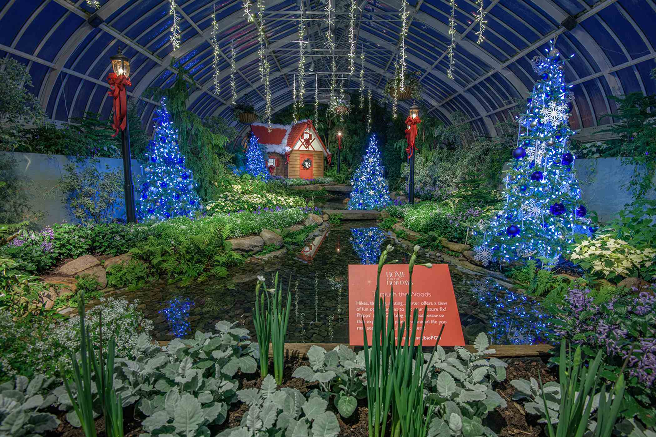 Winter Flower Show 2020: Home for the Holidays | Phipps Conservatory ...