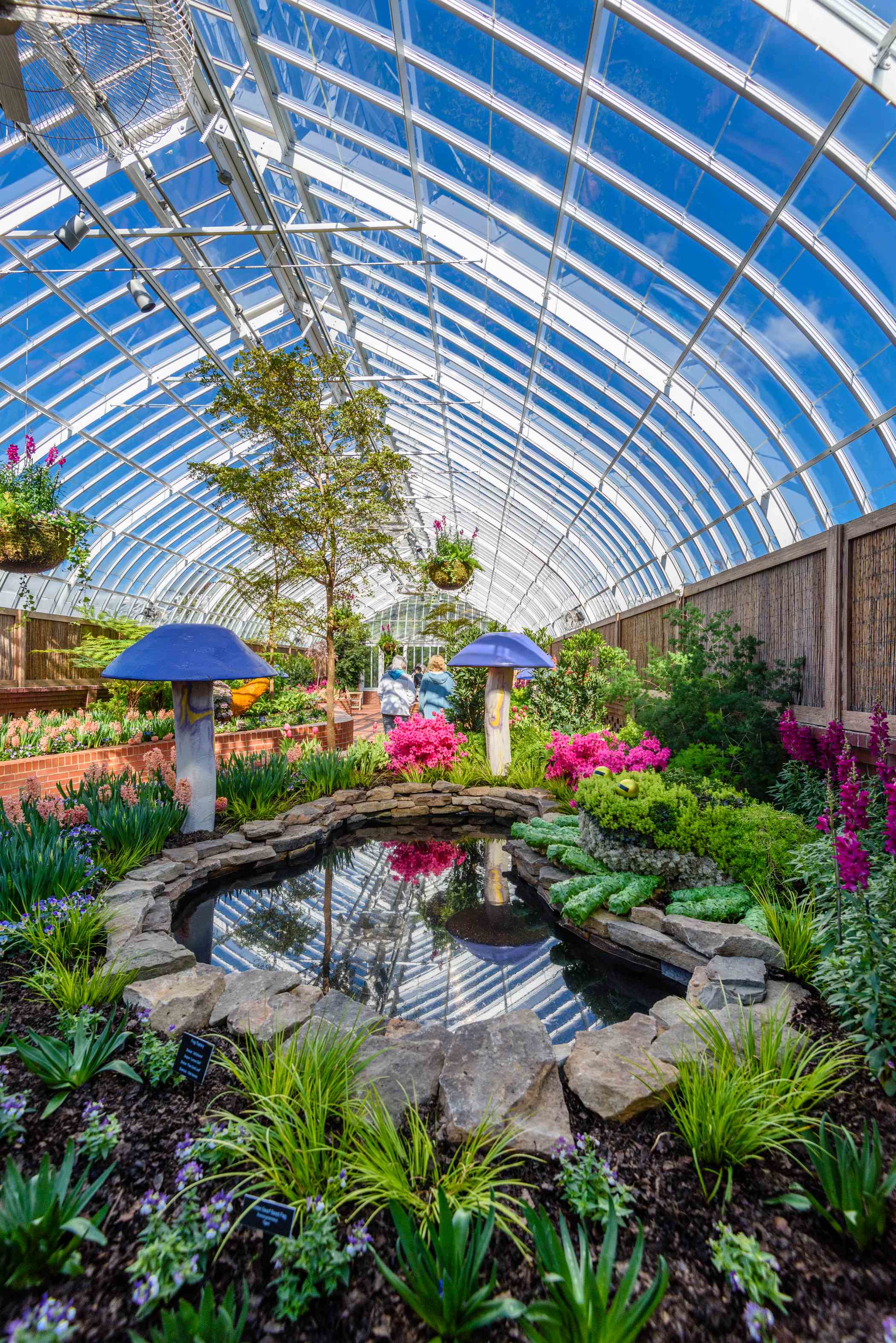 Spring Flower Show 2017: Enchanted Forest | Phipps Conservatory and ...