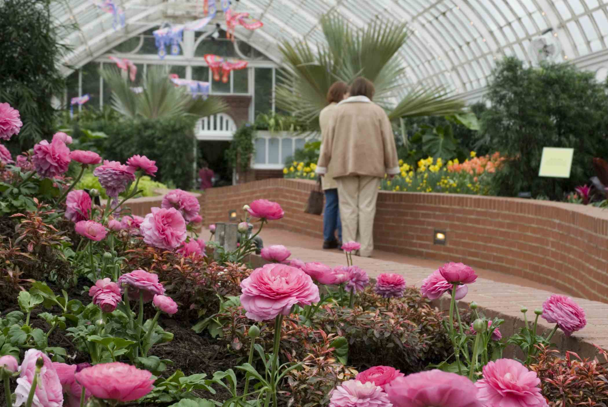 Spring Flower Show 2006: In the Tropics | Phipps Conservatory and ...