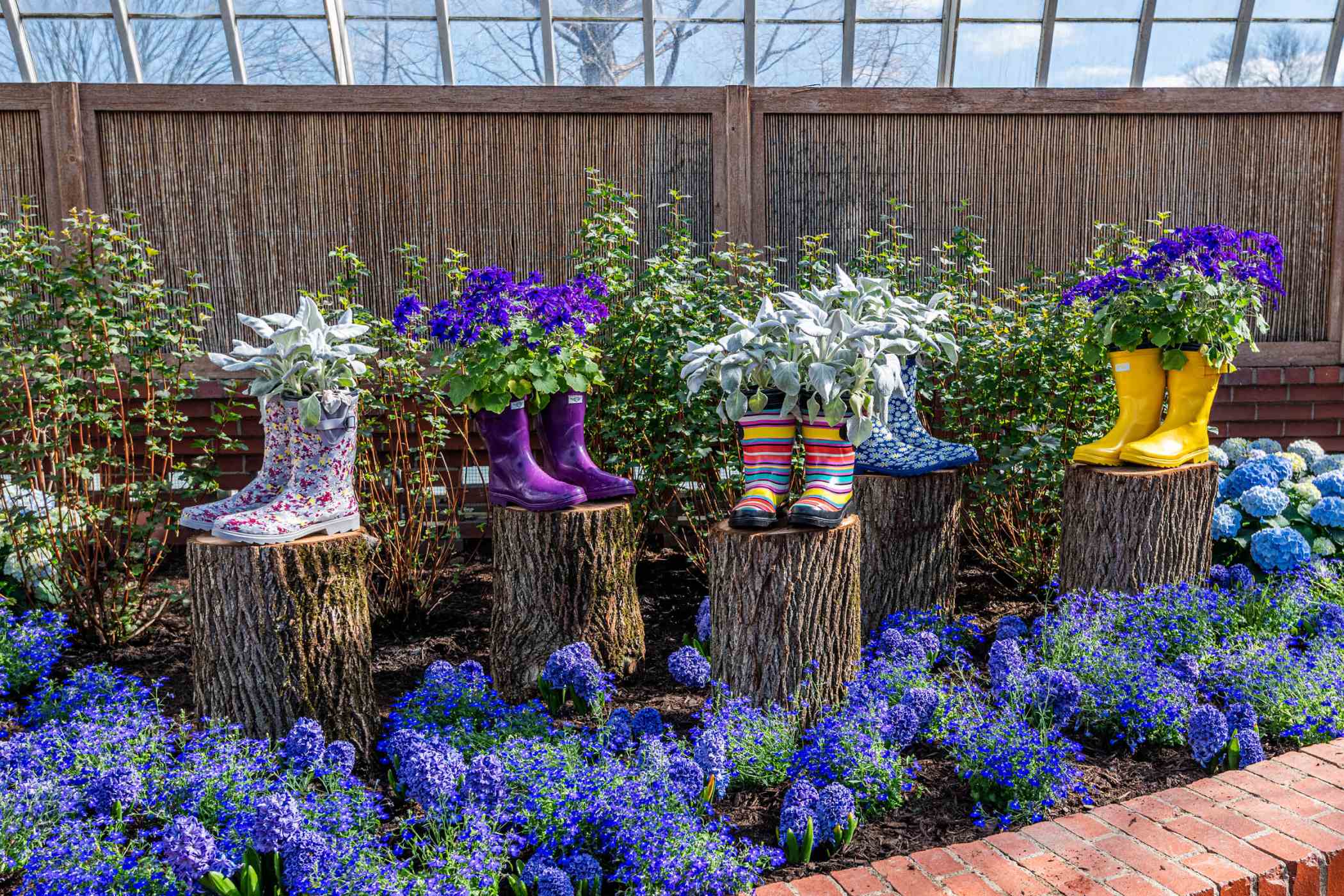 Spring Flower Show 2024: A Closer Look | Phipps Conservatory and ...