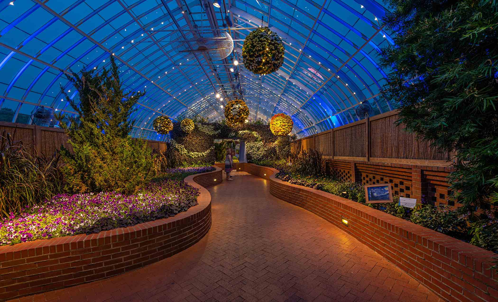 Summer Flower Show 2019: Van Gogh in Bloom | Phipps Conservatory and ...