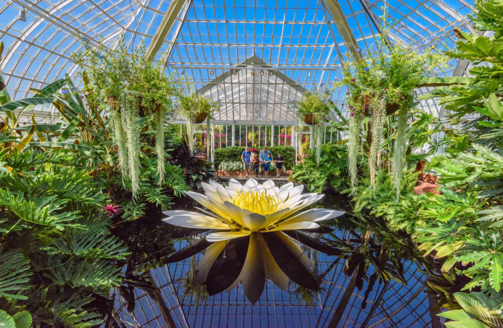 SUPER. NATURAL. Glass Art by Jason Gamrath | Phipps Conservatory and ...