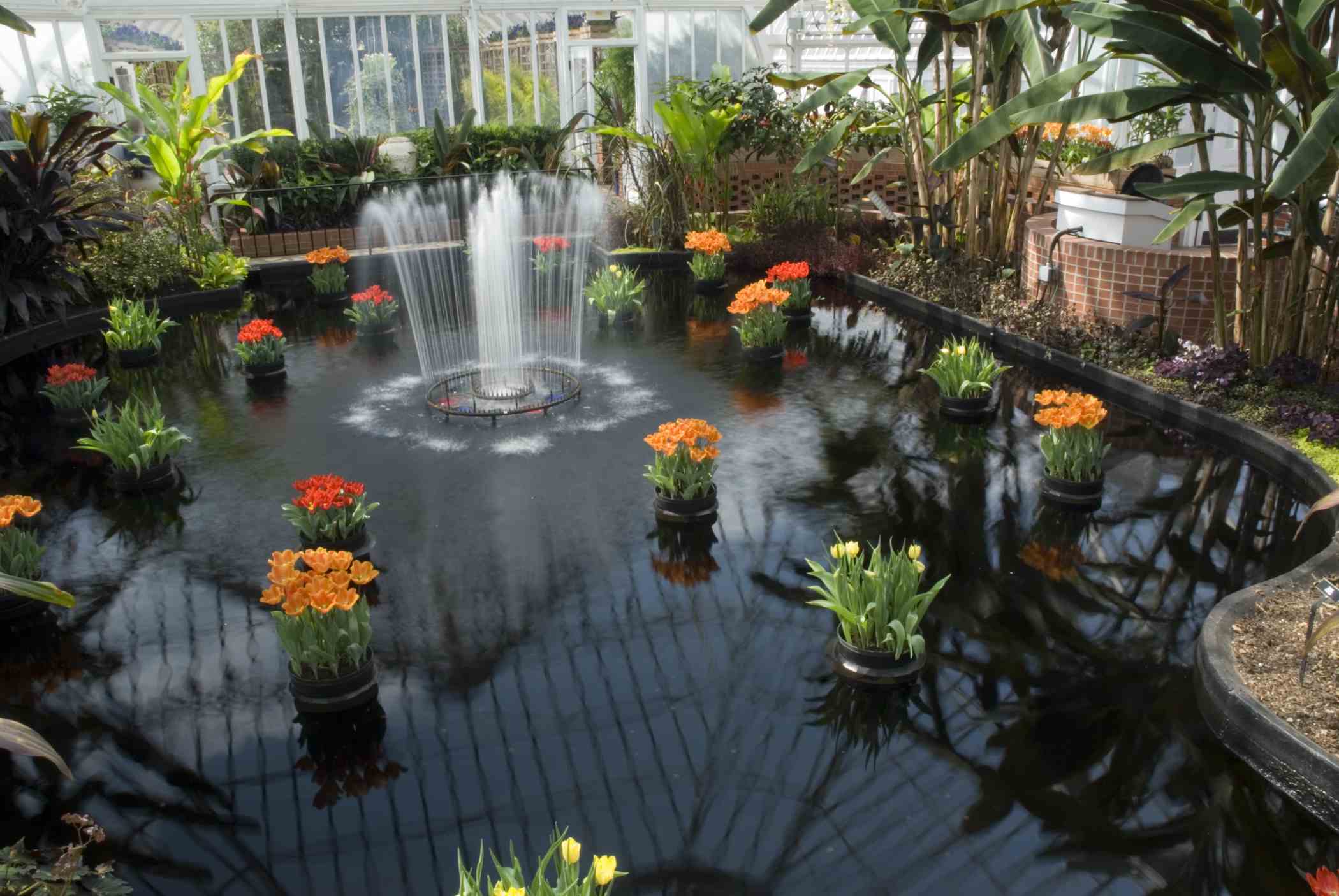 Spring Flower Show 2006: In the Tropics | Phipps Conservatory and ...