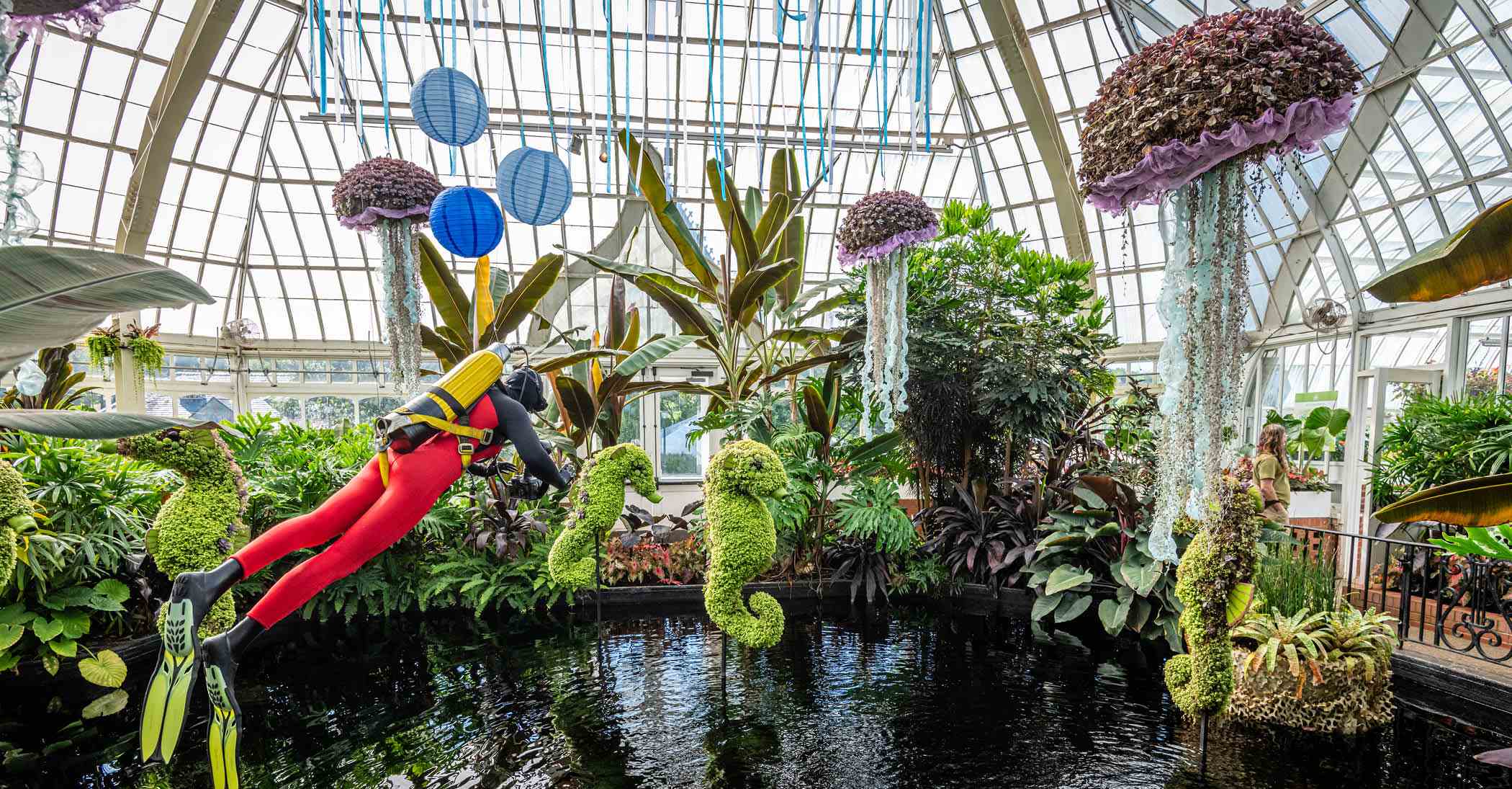 Summer Flower Show 2024: Under the Sea | Phipps Conservatory and ...
