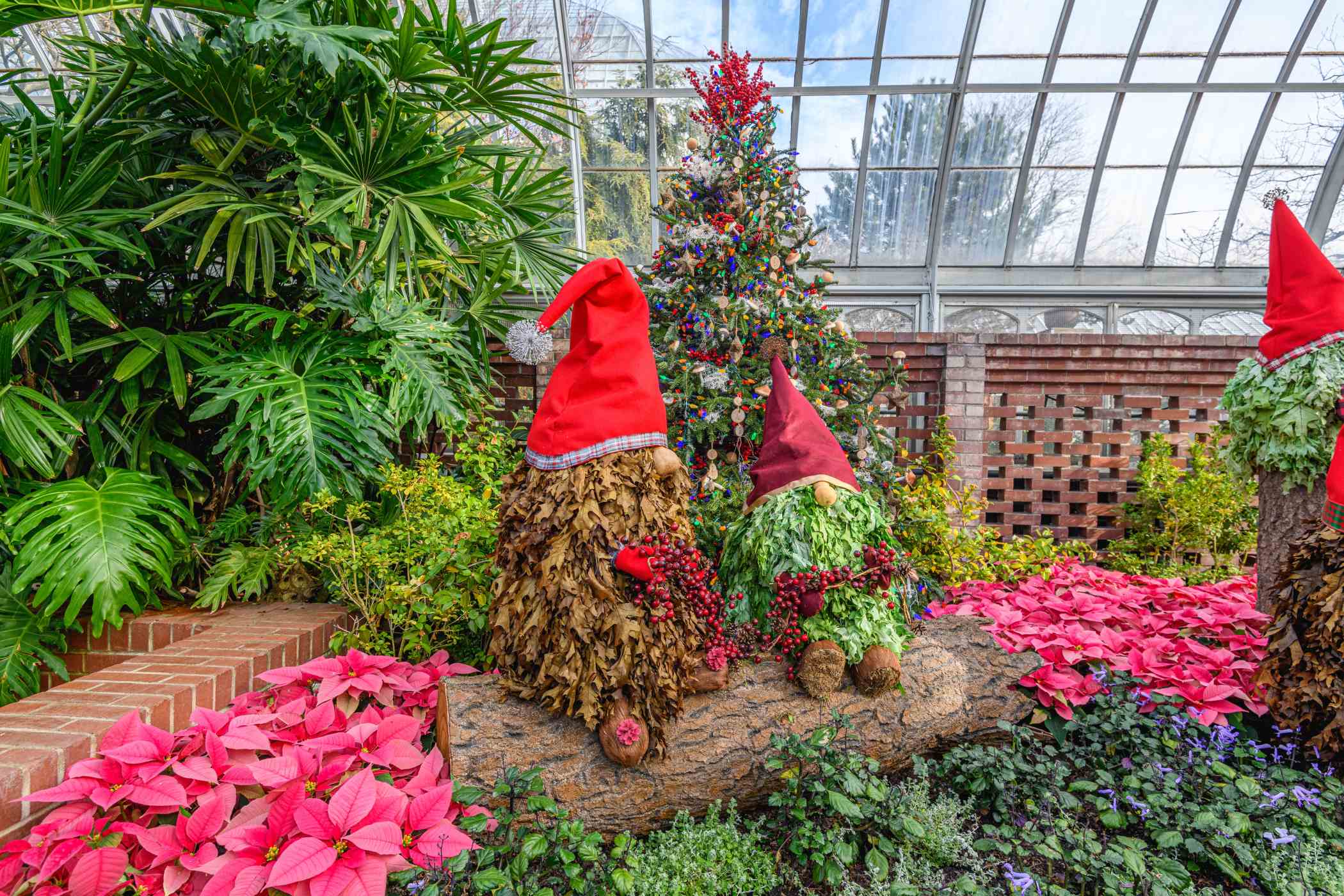 Winter Flower Show and Light Garden 2023: Holiday Magic! Season's ...