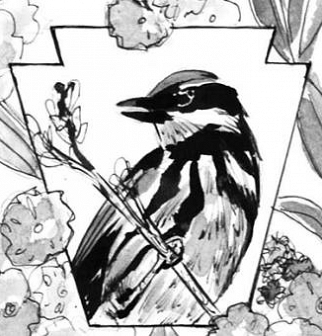 Birds and Botany: Works by Ashley Cecil | Phipps Conservatory and ...