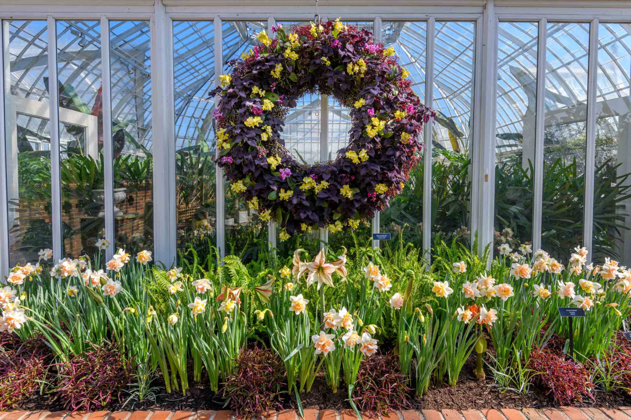Spring Flower Show 2022: Sunshine and Rainbows | Phipps Conservatory ...