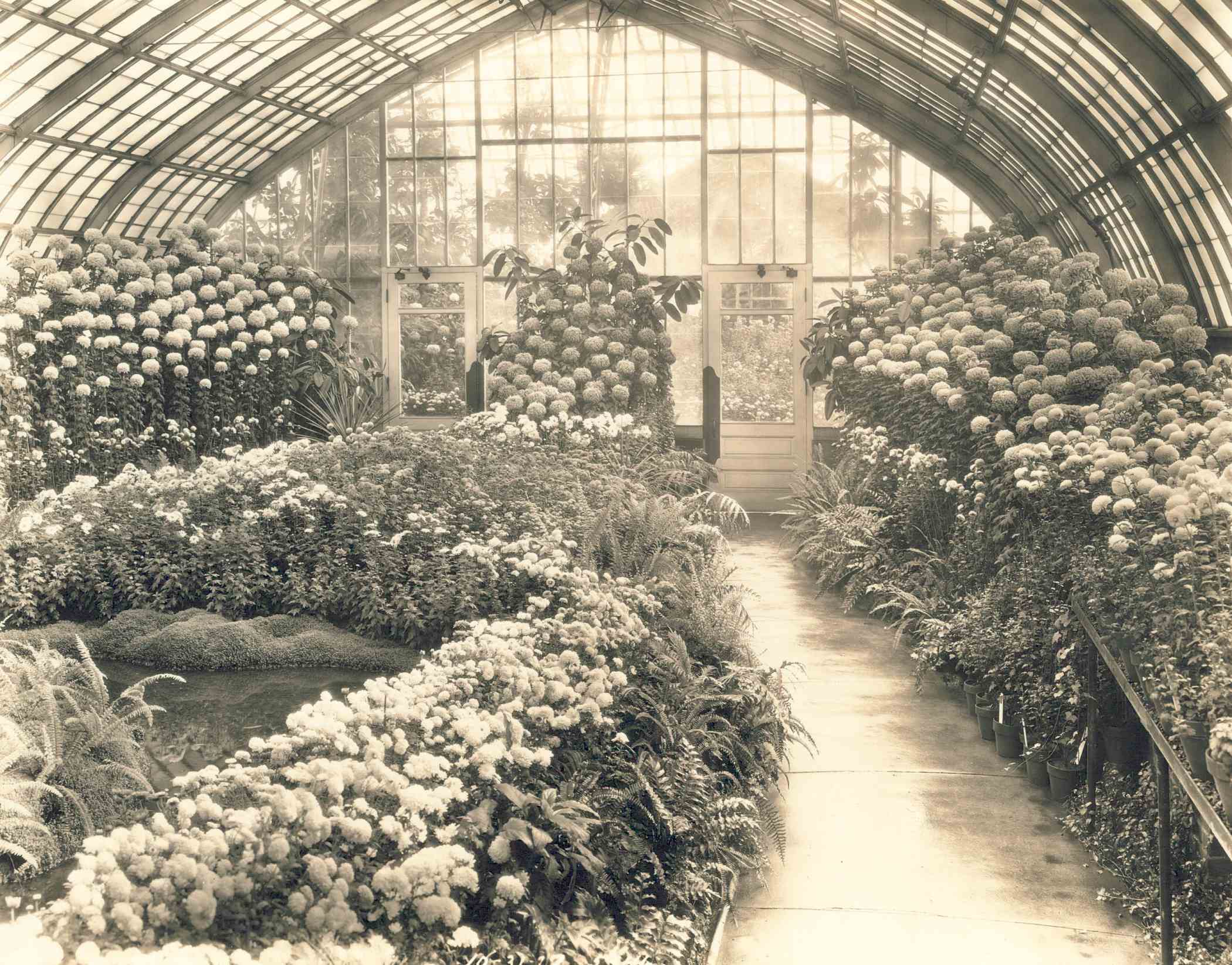 Fall Flower Show 1927 | Phipps Conservatory and Botanical Gardens ...