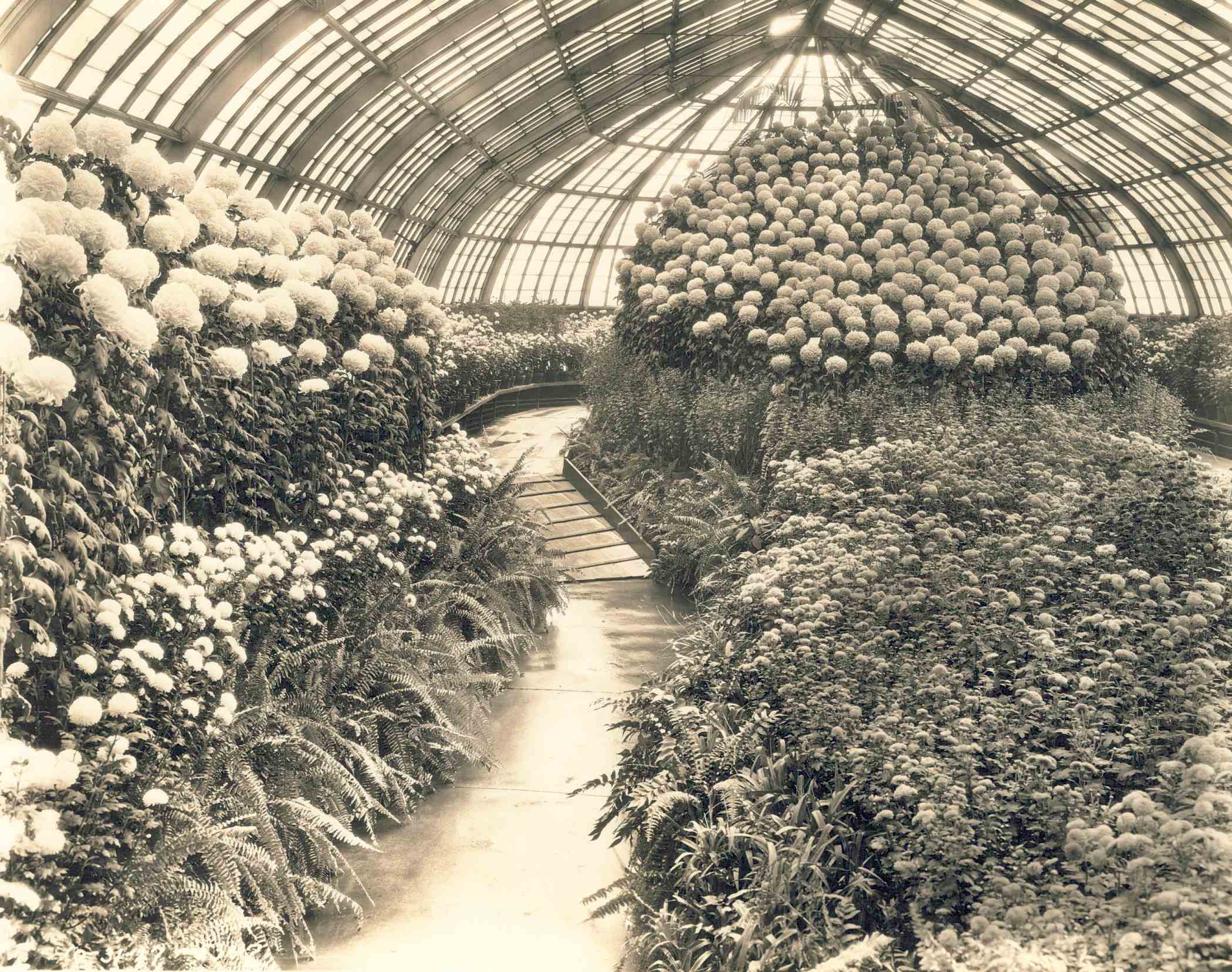 Fall Flower Show 1927 | Phipps Conservatory and Botanical Gardens ...
