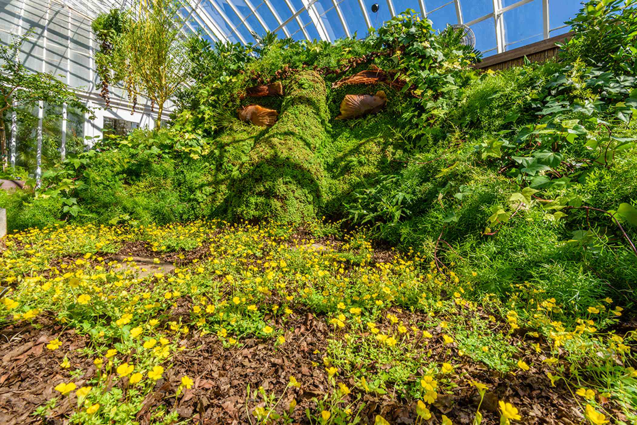Summer Flower Show 2018: Gardens of Sound and Motion | Phipps ...