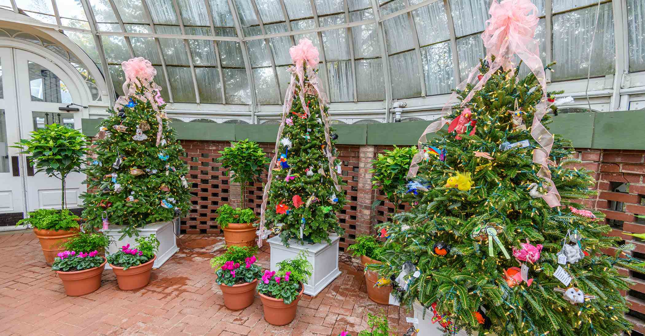 Winter Flower Show 2024: Phipps Holiday Magic | Phipps Conservatory and ...