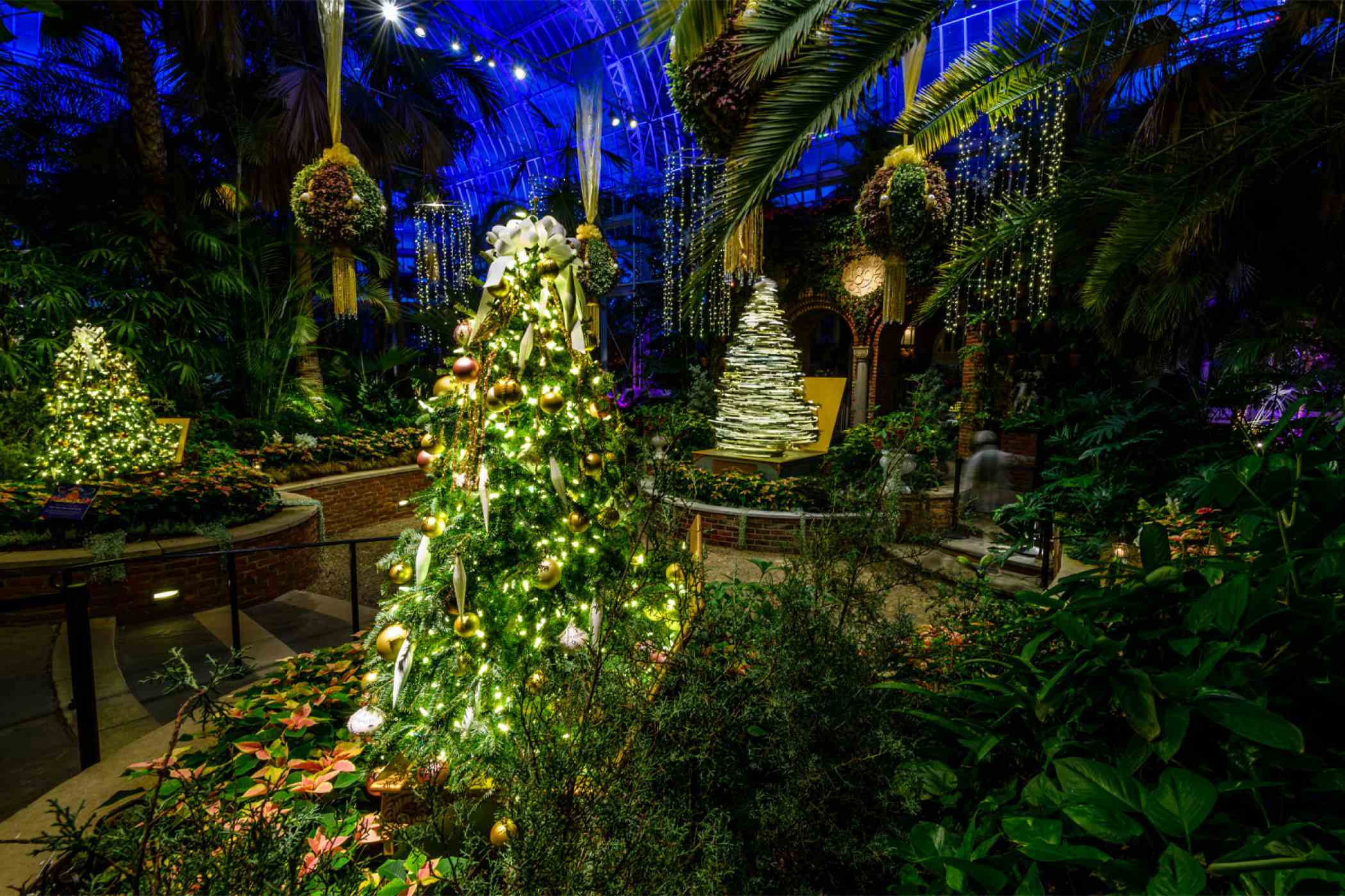 Winter Flower Show and Light Garden 2021: Holiday Magic! Sparkle and ...