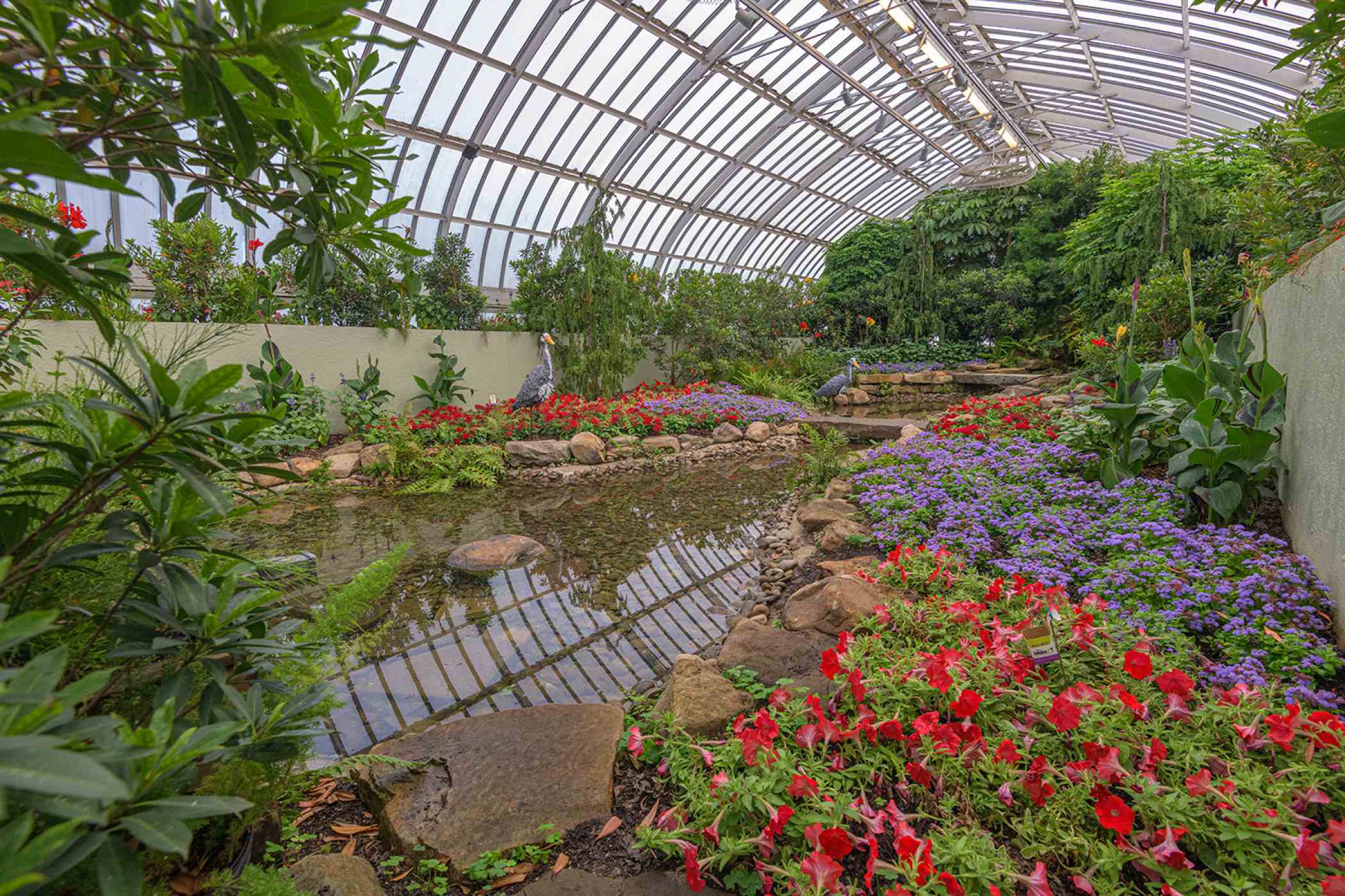 Summer Flower Show 2020: Back in Bloom | Phipps Conservatory and ...
