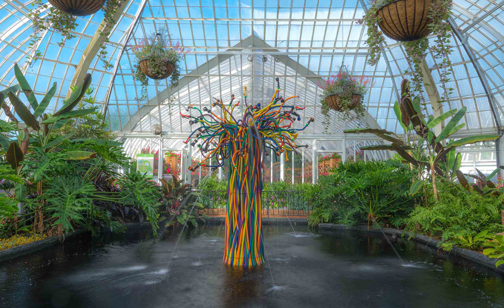 Summer Flower Show 2020: Back in Bloom | Phipps Conservatory and ...