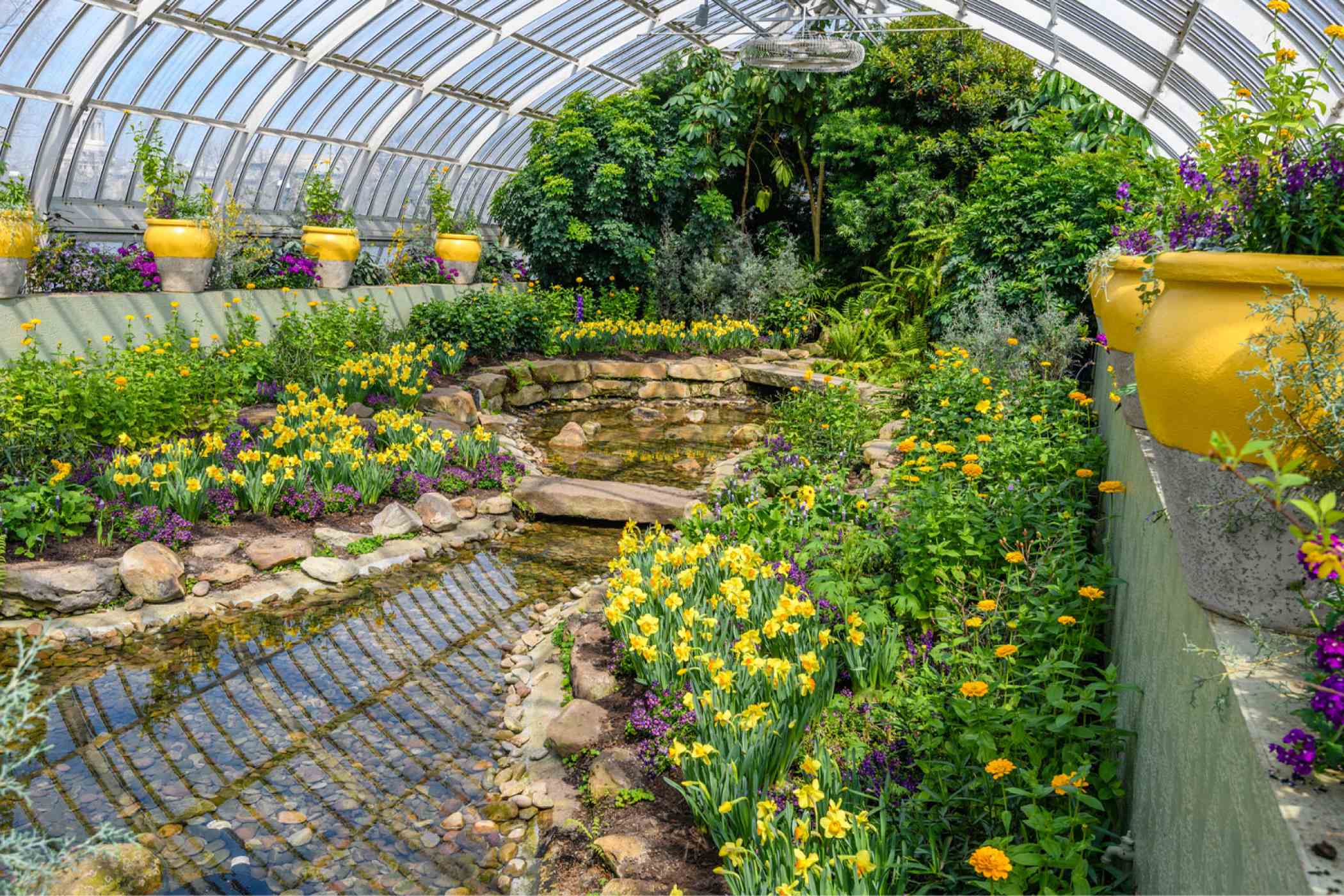 Spring Flower Show 2022: Sunshine and Rainbows | Phipps Conservatory ...