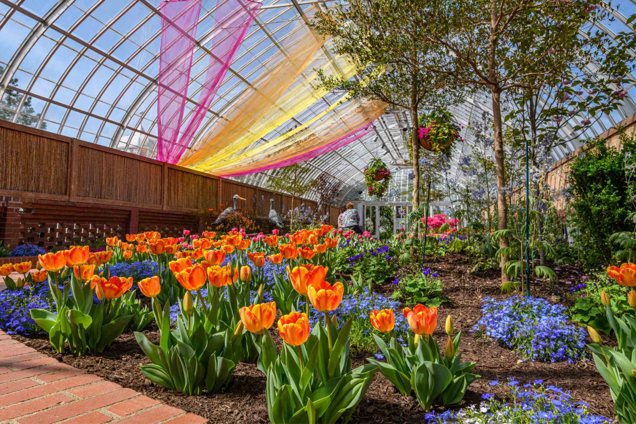 Spring Flower Show 2022: Sunshine and Rainbows | Phipps Conservatory ...