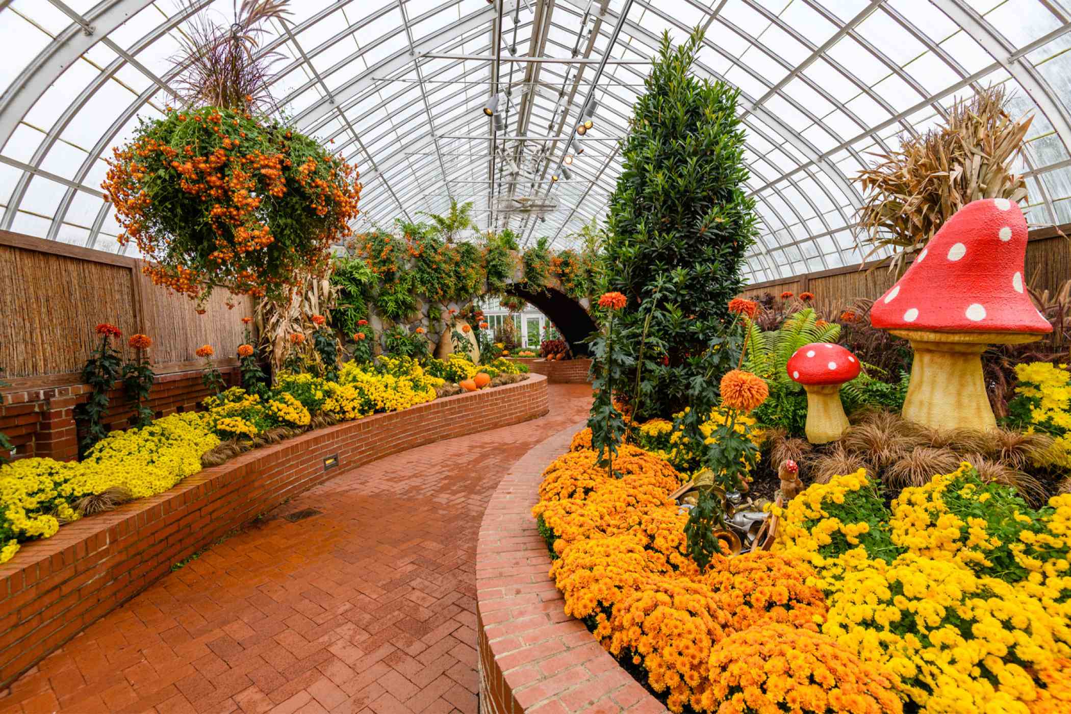 Fall Flower Show 2021: Happy Troll-O-Ween | Phipps Conservatory and ...